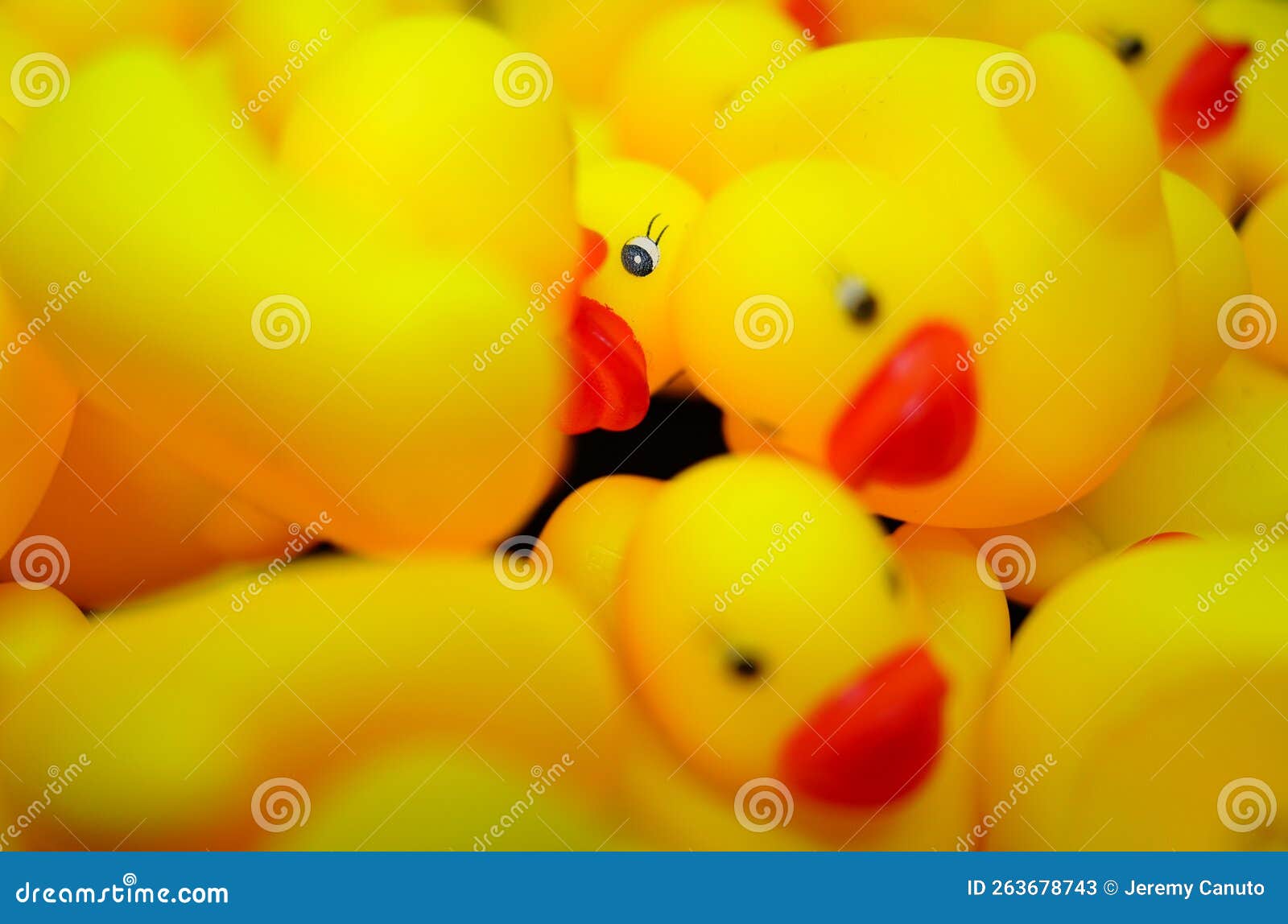 A Pile of Rubber Ducks Yellow and Black Stock Image - Image of bird ...