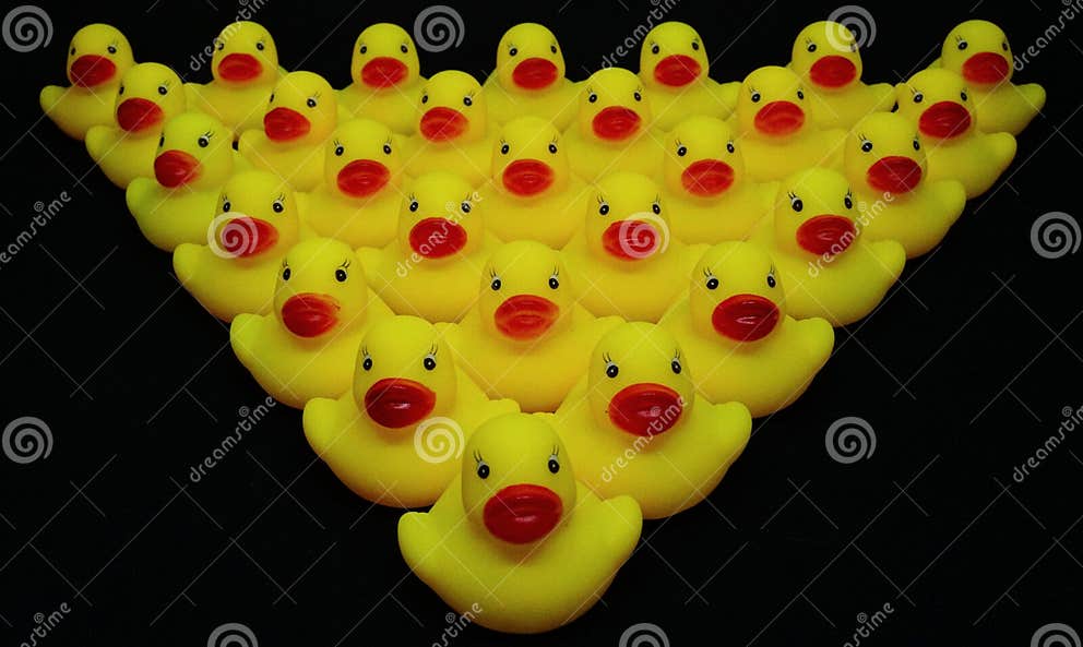 A Pile of Rubber Ducks in Yellow and Black Triangle Stock Image - Image ...