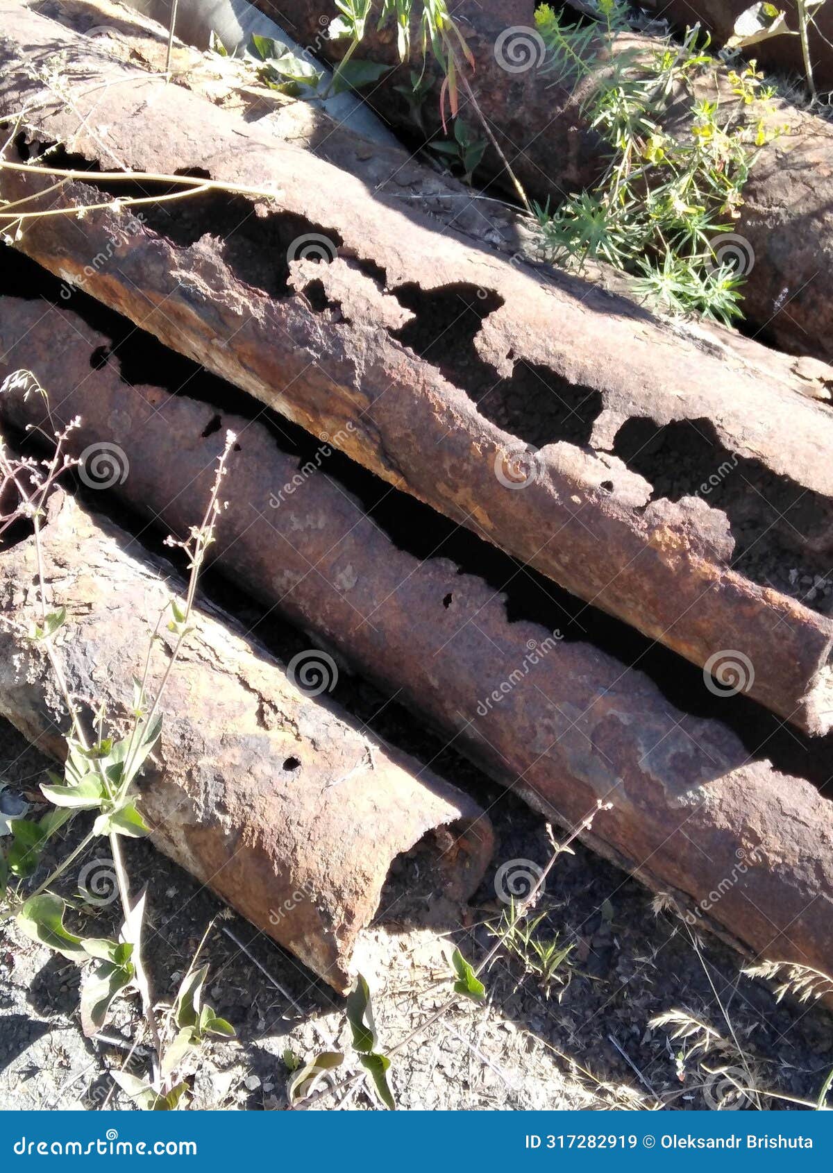 A Pile of Rusty Pipes in the Grass. Corrosion Stock Image - Image of ...