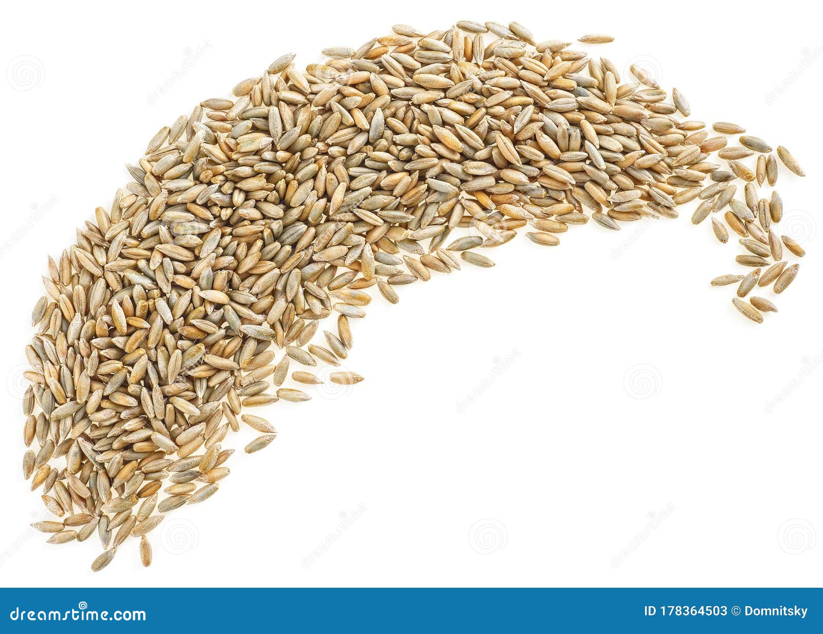 Pile of Rye Grains Isolated on White Background, Top View Stock Image ...