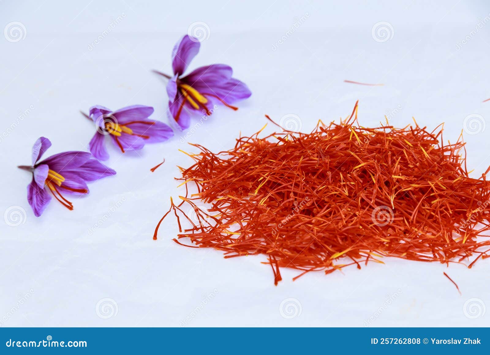 A Pile of Saffron Stamens and Crocus Flowers on a White Background ...
