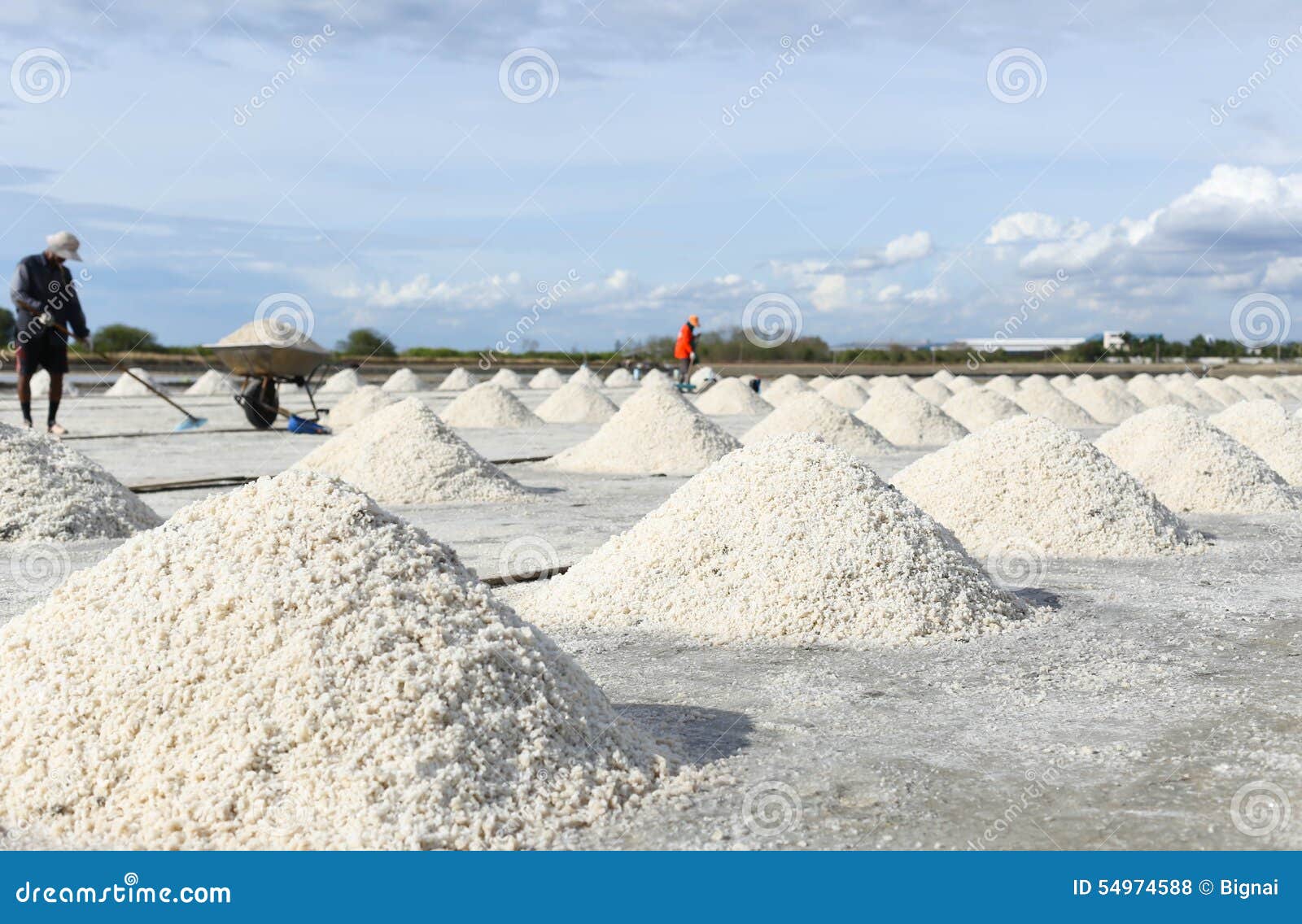 Pile of Salt in the Salt Pan in Thailand Stock Photo - Image of ...