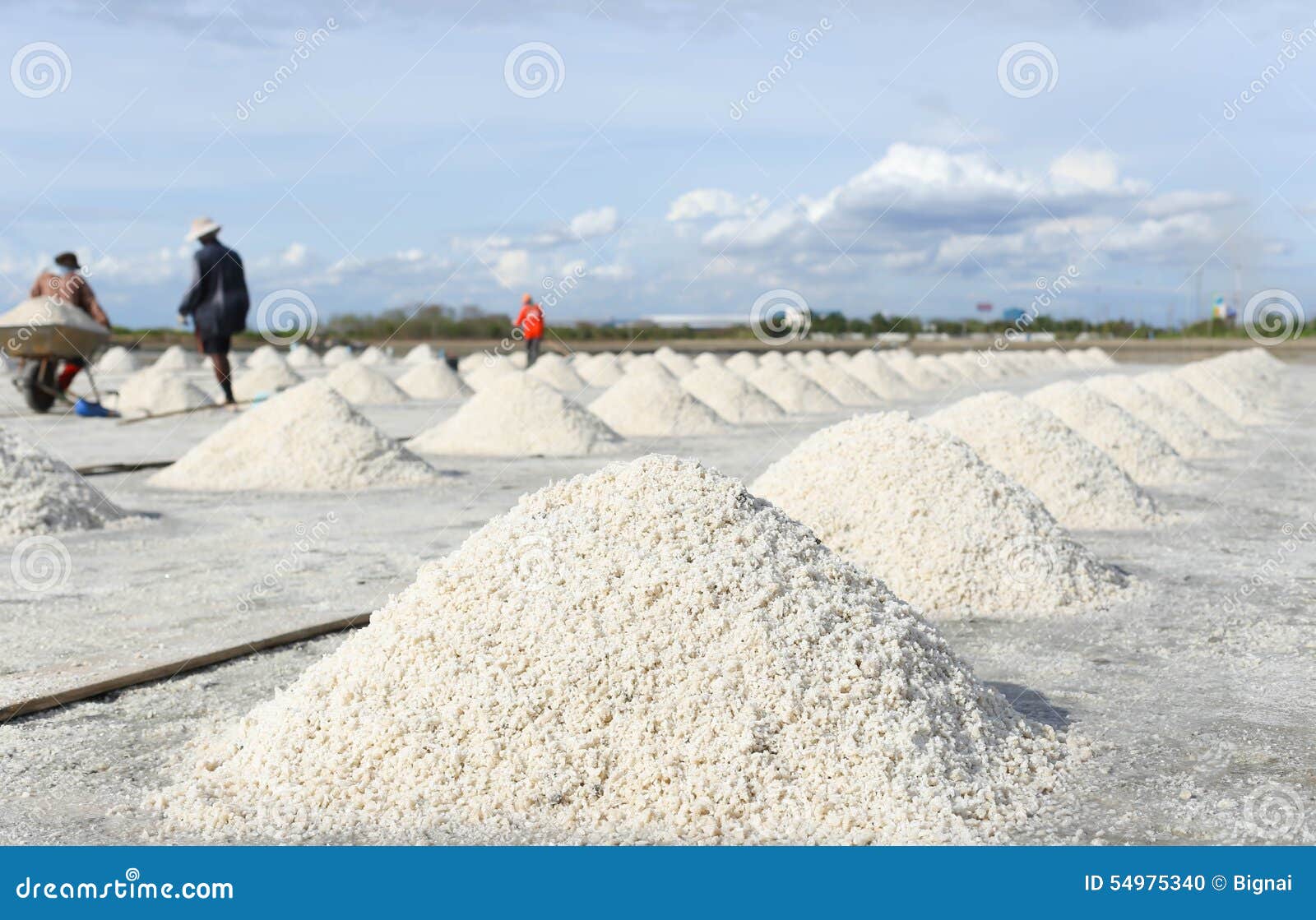 Pile of Salt in the Salt Pan in Thailand Stock Photo - Image of food ...