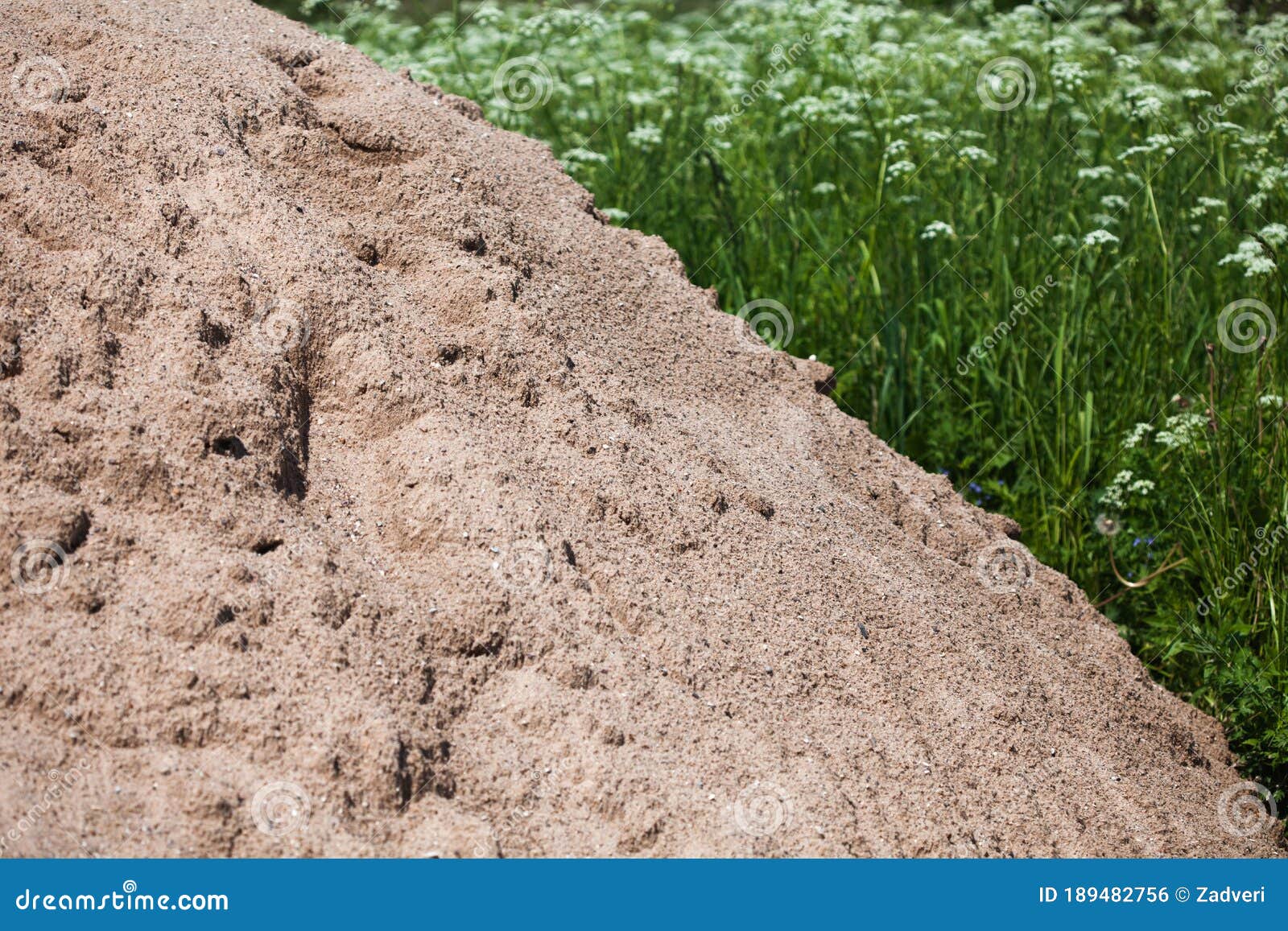 A Pile of Sand Poured into a Meadow for Construction Stock Photo ...
