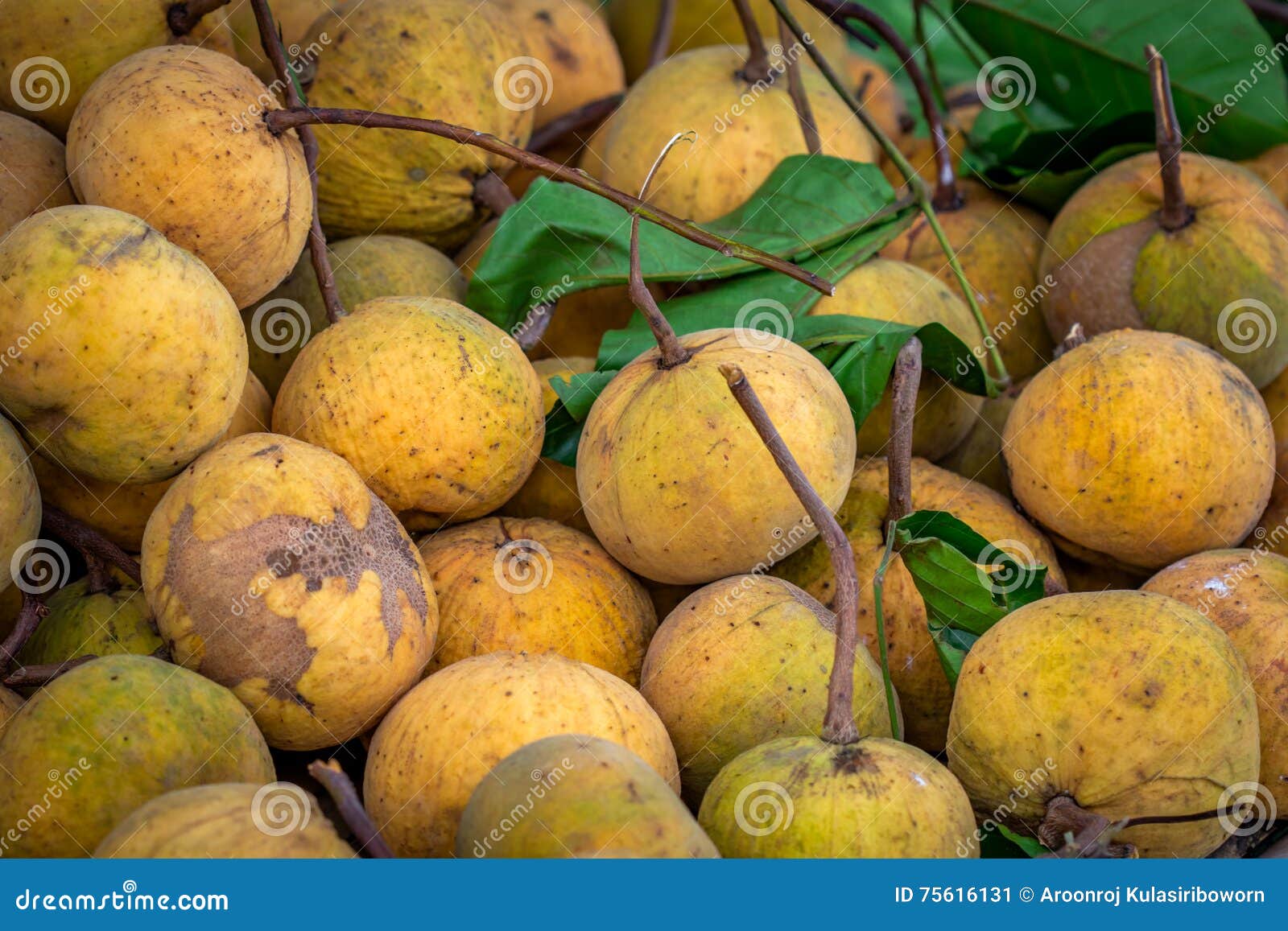 Pile Santol Fruits Thailand Stock Photos - Free & Royalty-Free Stock ...