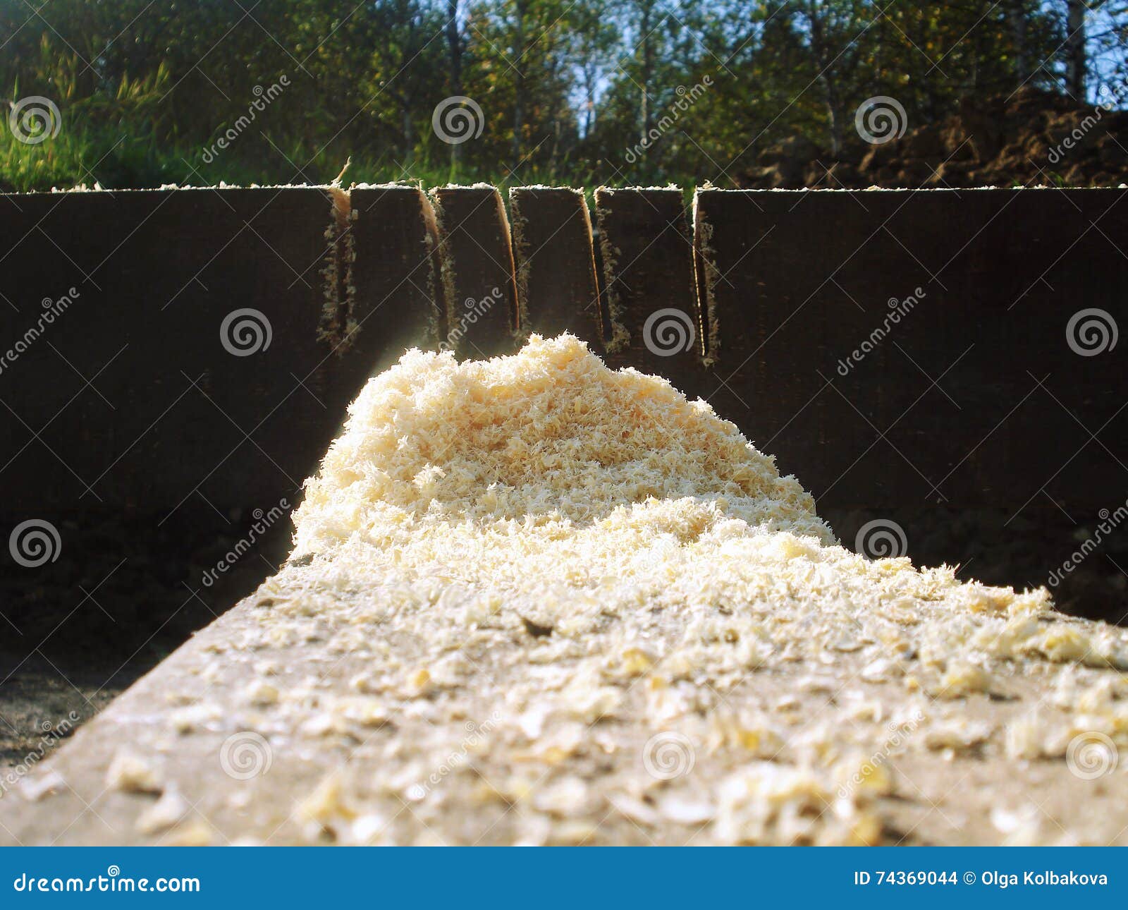 Pile of sawdust stock photo. Image of pile, carpentry - 74369044