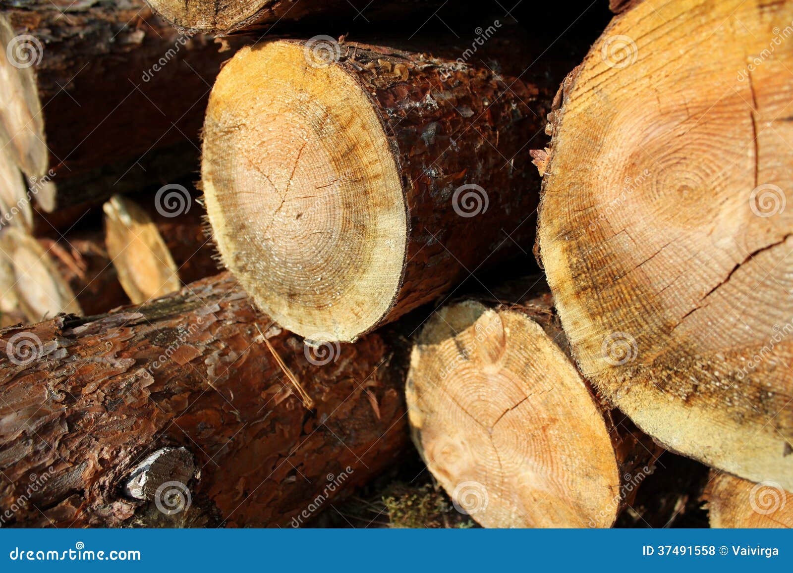 Pile of sawed pine wood stock photo. Image of ecology - 37491558