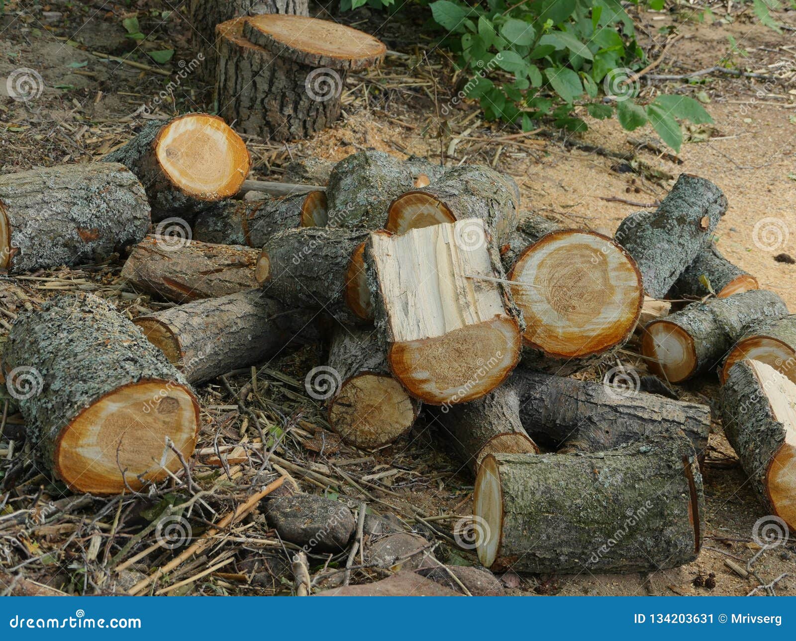 Pile of round firewood stock image. Image of pile, wood - 134203631