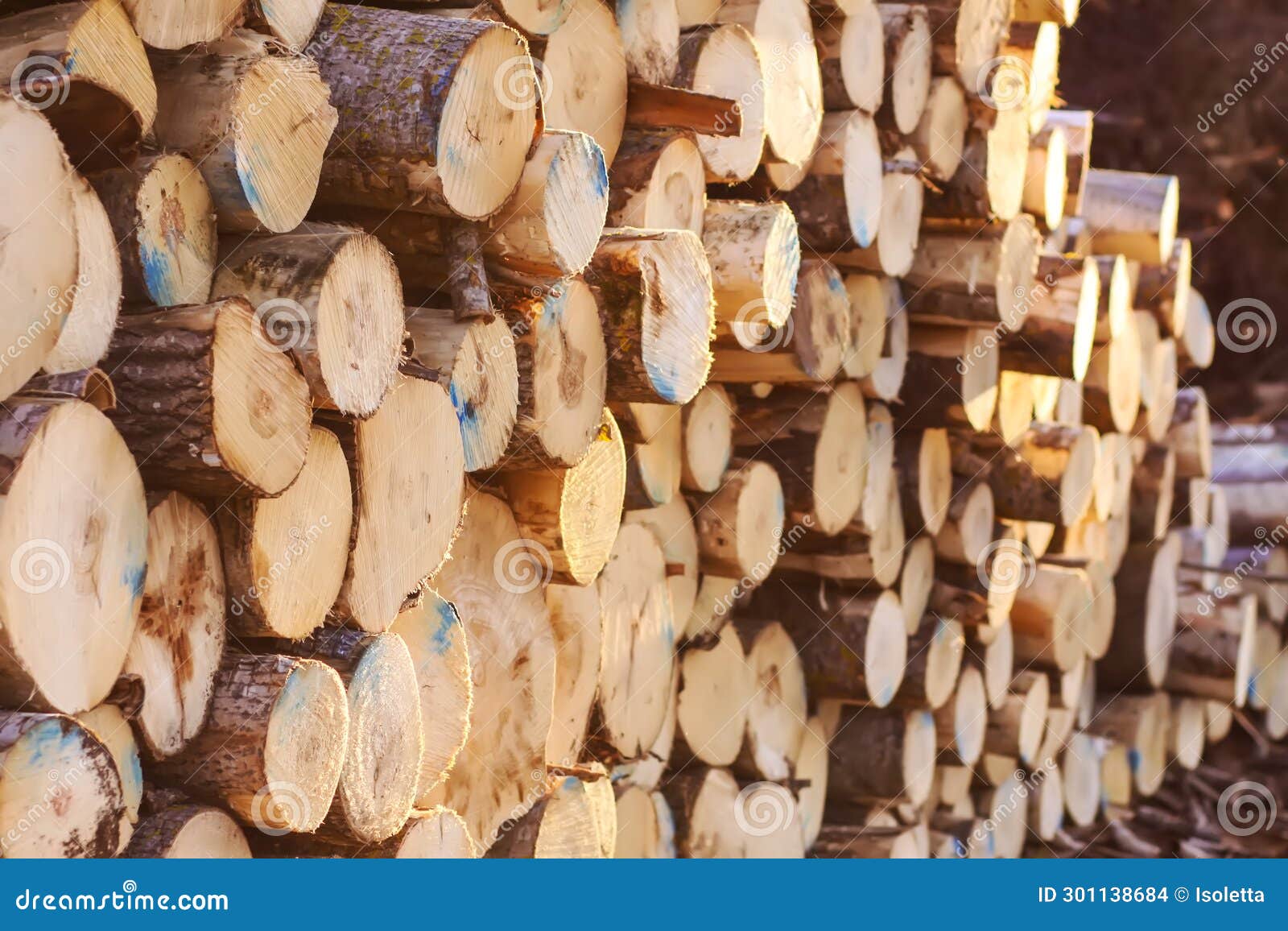 A Pile of Sawn Logs on a Field Stock Photo - Image of nature, industry ...