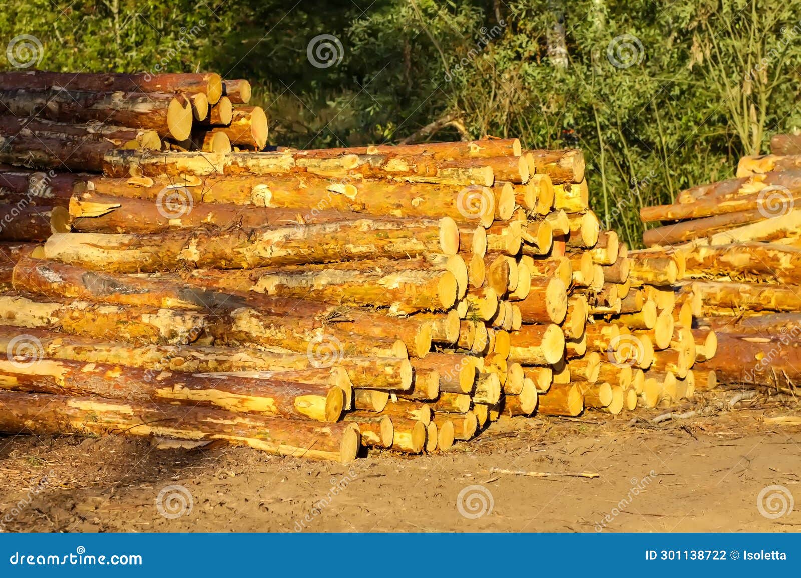 A Pile of Sawn Logs on a Field Stock Photo - Image of construction ...