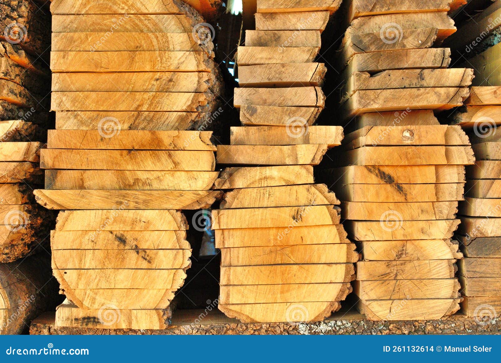 Sawn logs with bark stock photo. Image of drying, bark - 261132614