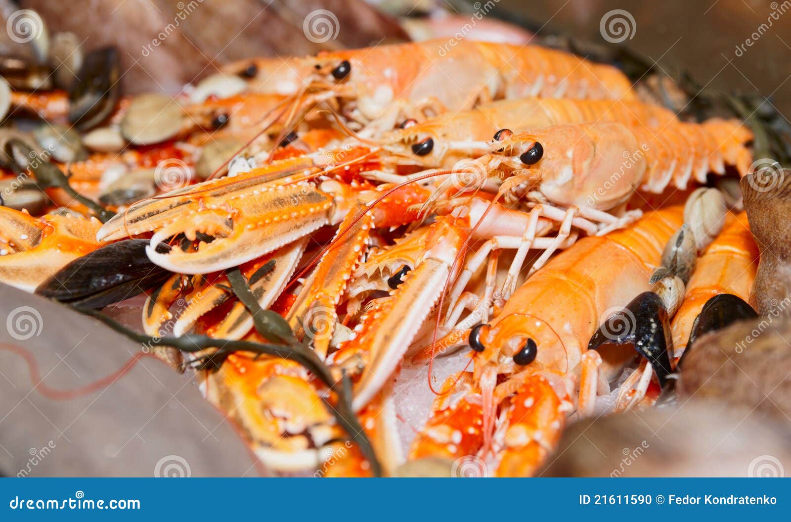 Pile of Scampi on Fish Market Stock Photo - Image of retail, lobster ...