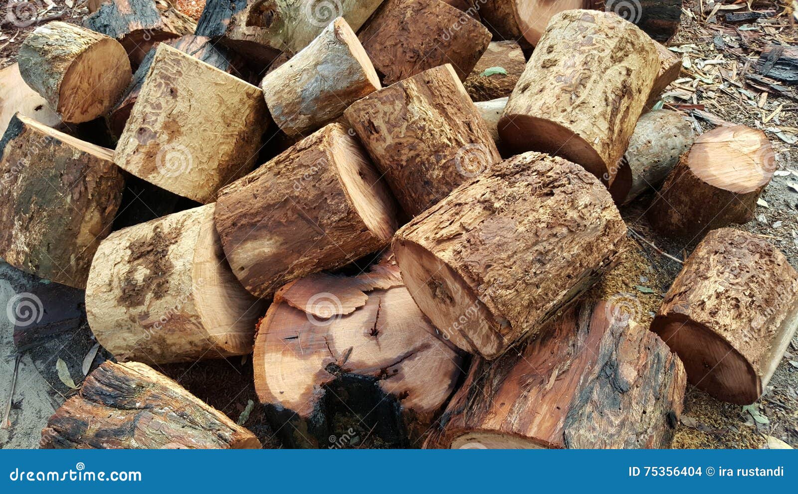 Pile of Scattered Chopped Logs Stock Photo - Image of scattered ...