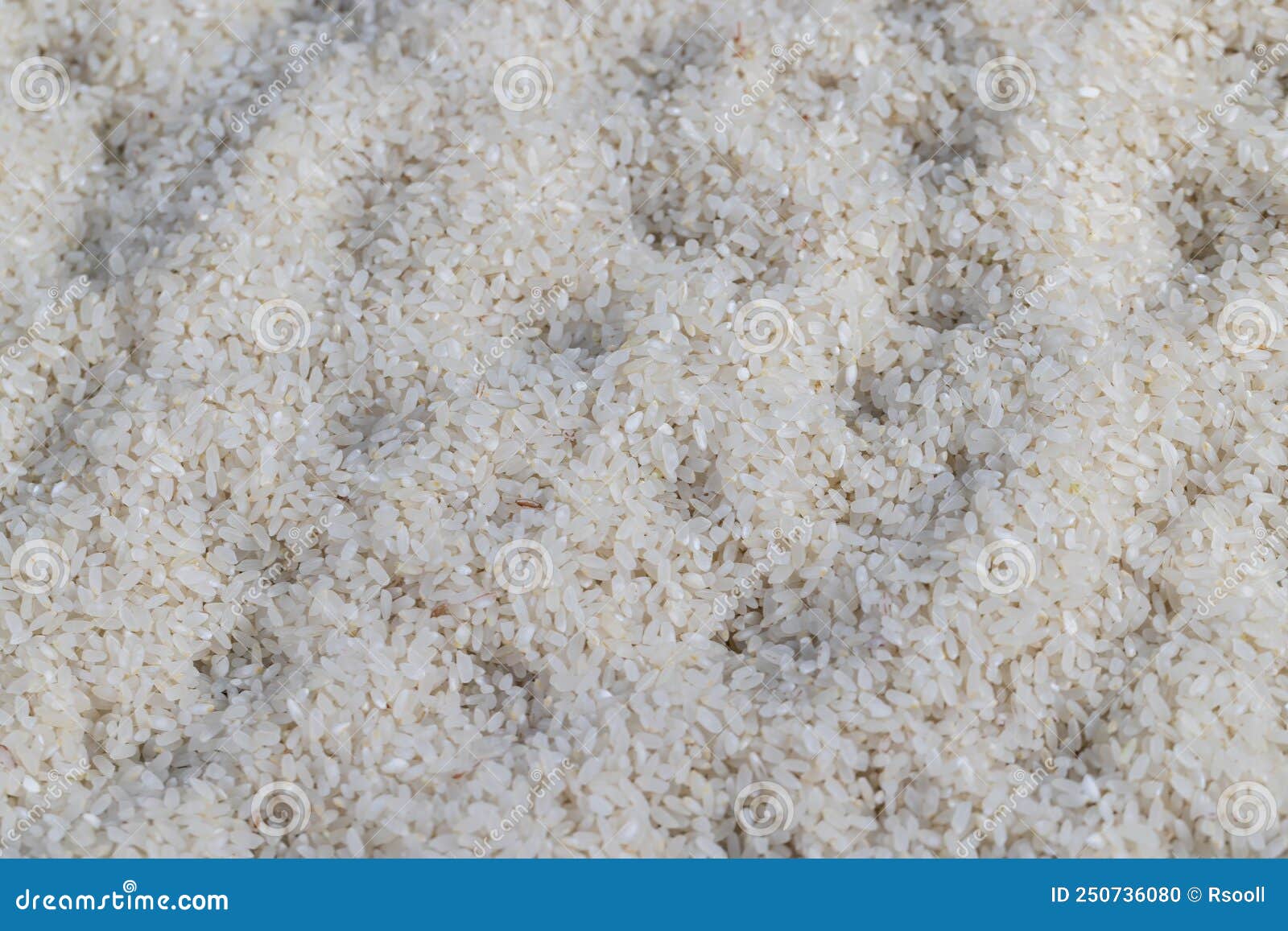 A Pile of Scattered White Rice on the Kitchen Table Stock Photo - Image ...