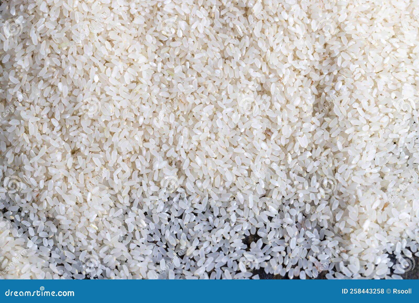 A Pile of Scattered White Rice on the Kitchen Table Stock Photo - Image ...