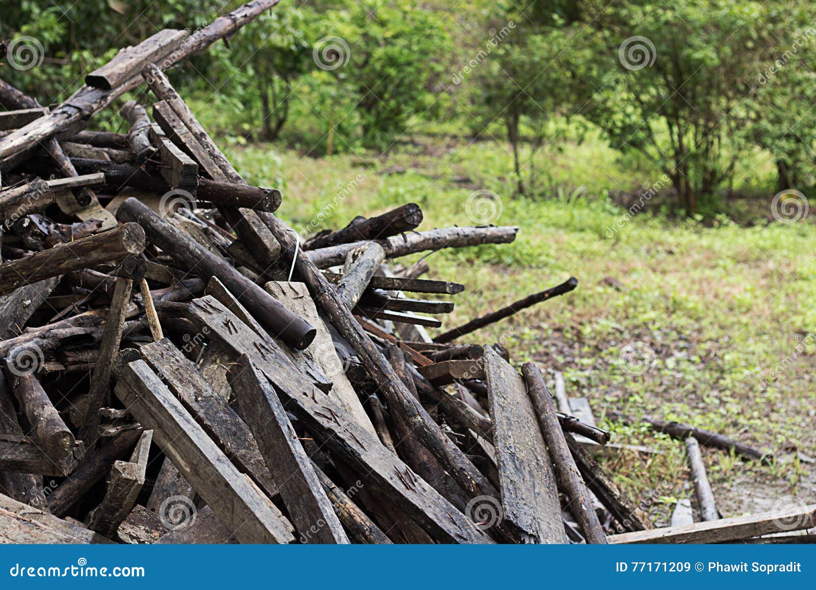 A Scrap Wood Pile. Stock Photography | CartoonDealer.com #61159292