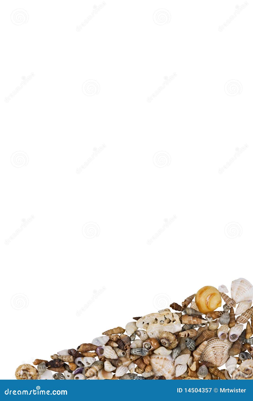 Pile of seashells stock image. Image of nature, coastline - 14504357