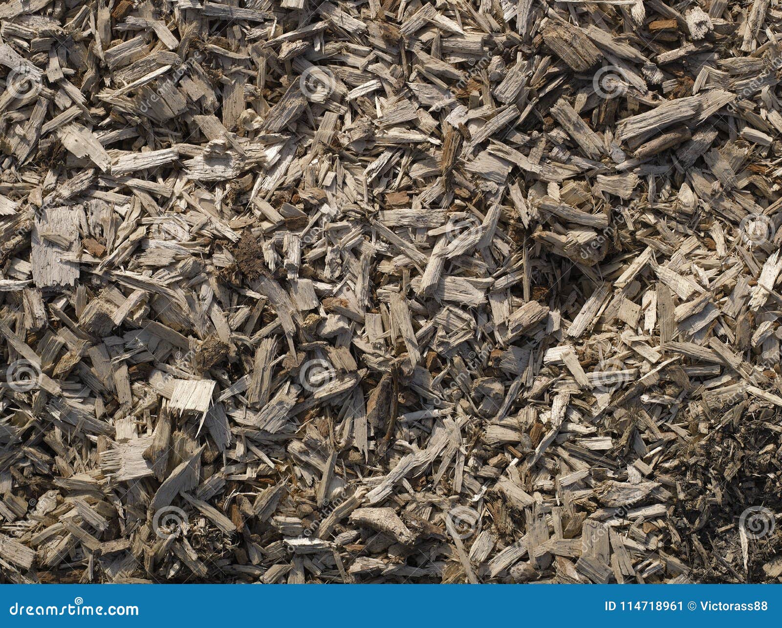 Sharp splinters of wood stock image. Image of natural - 114718961