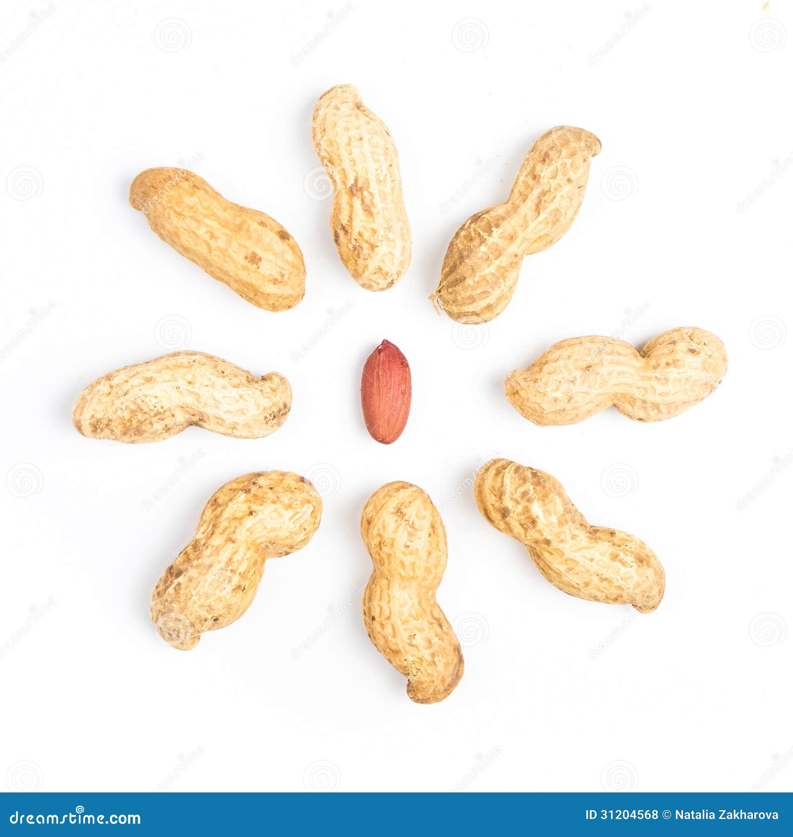 A Pile of Shelled Big Peanuts Closeup on White Background Stock Photo ...