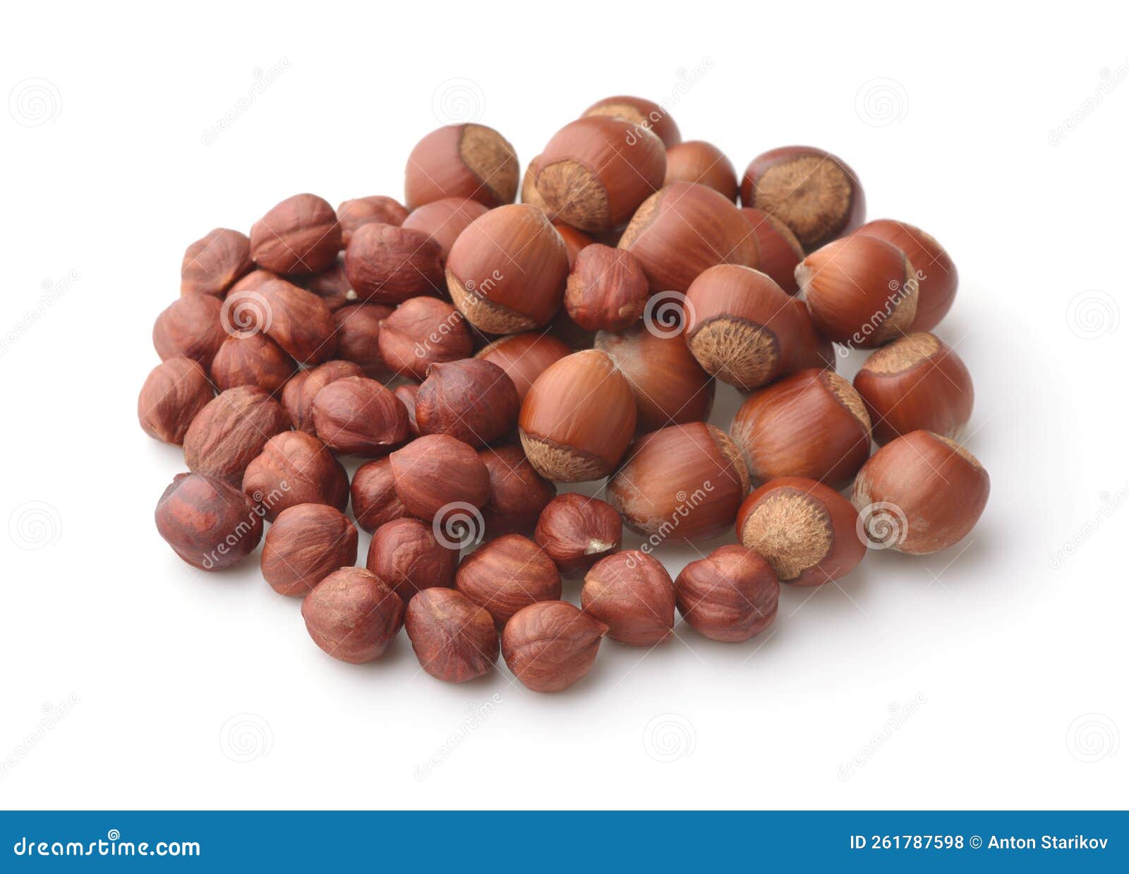 Pile of Shelled and Unshelled Hazelnuts Stock Photo - Image of natural ...