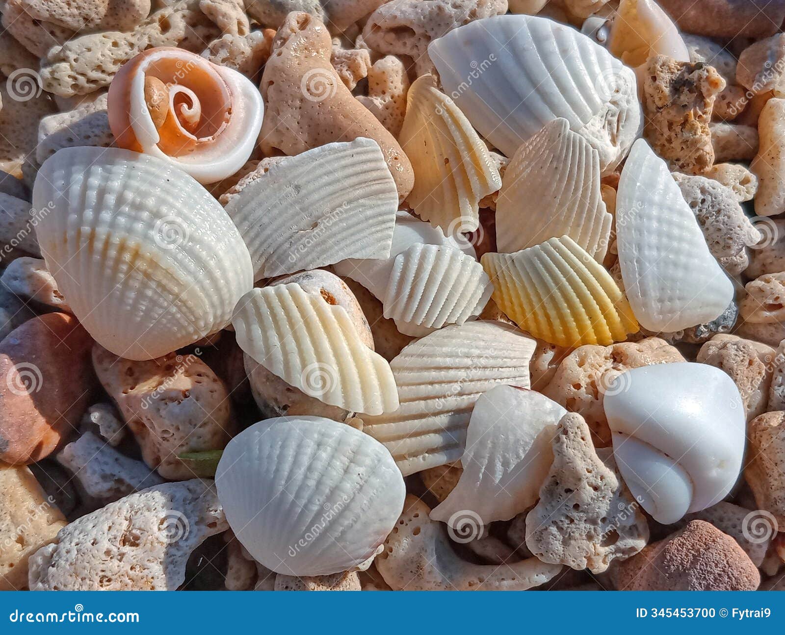 Beautiful Textures. White Wallpaper. Abstract Background. Royalty-Free ...