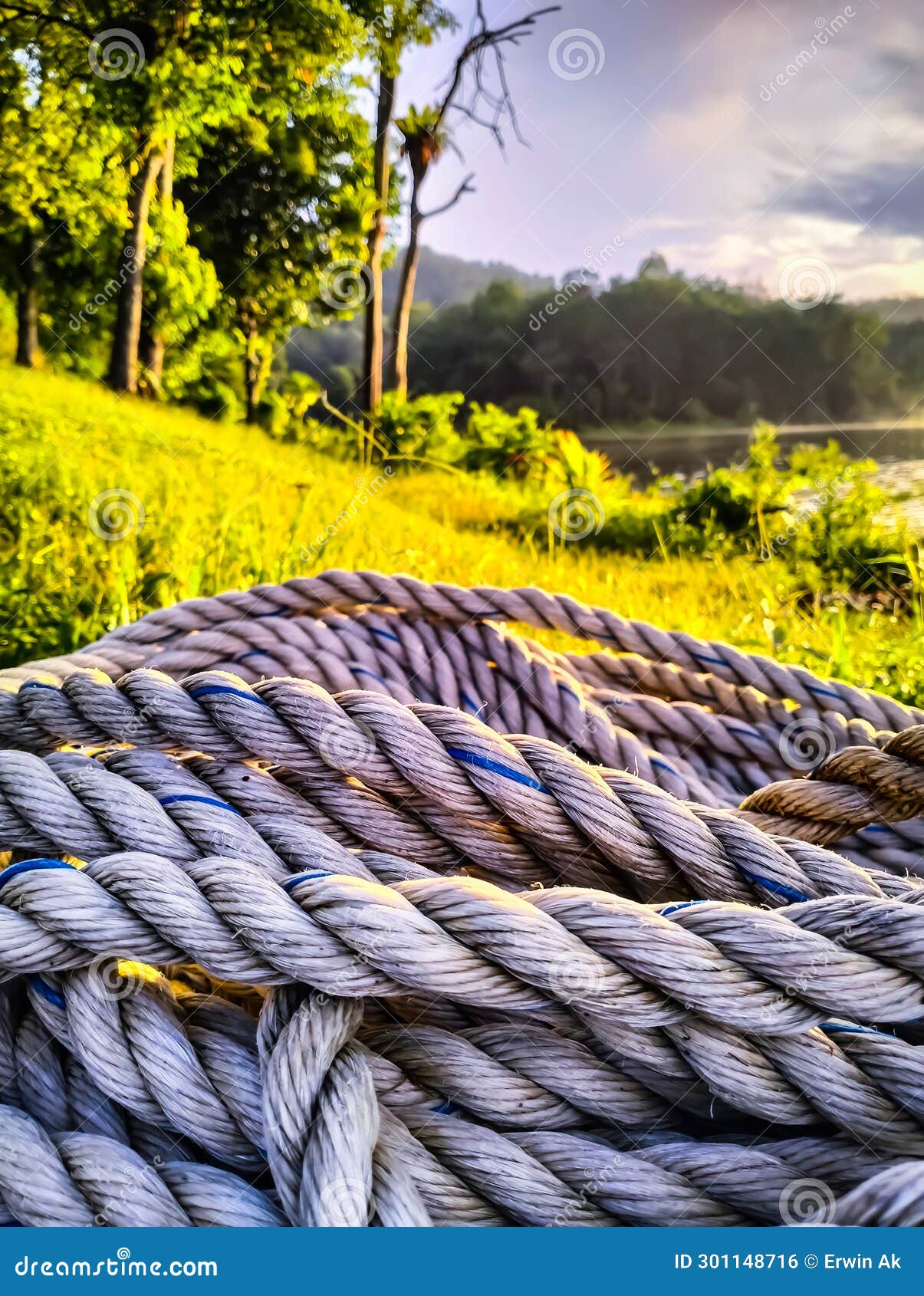 A Pile of Ship S Ropes Could Be Seen Rolled Up Stock Photo - Image of ...