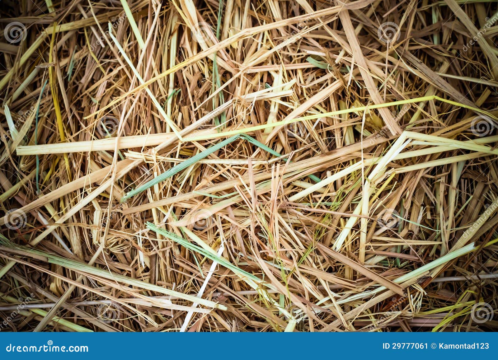 Pile of Straw or Hay stock image. Image of strands, pile - 29777061
