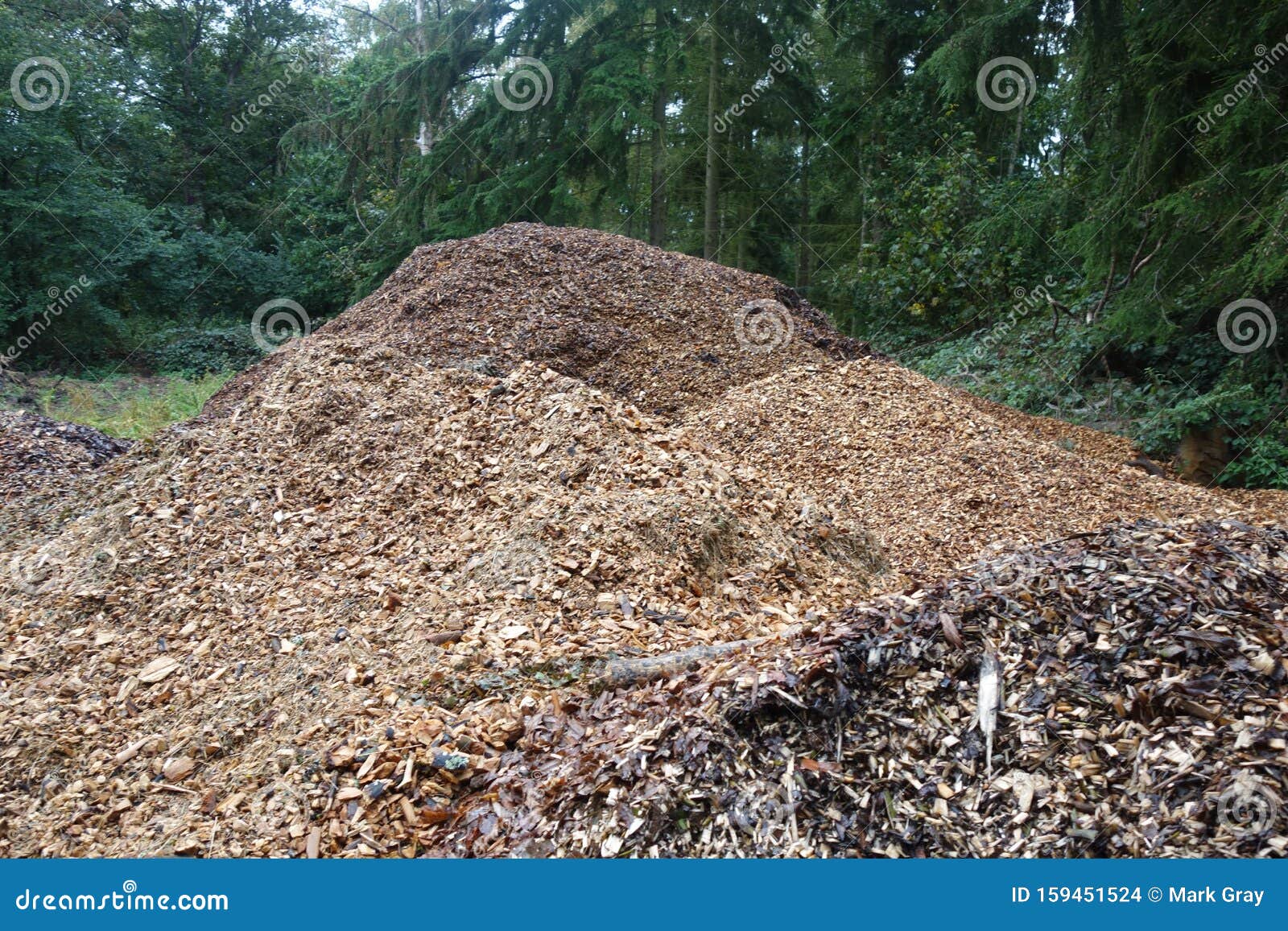 Pile of Shredded Bark stock photo. Image of woodchips - 159451524