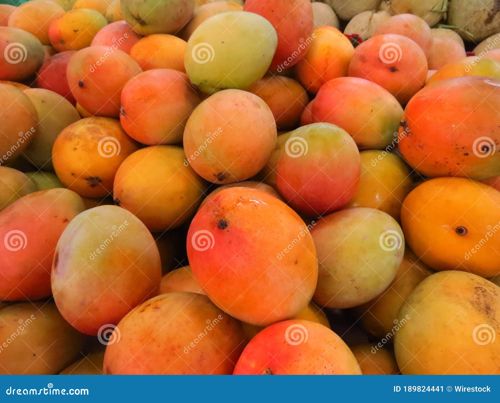 Pile of Small Multicolored Mangoes at a Fruit Market Stock Image ...