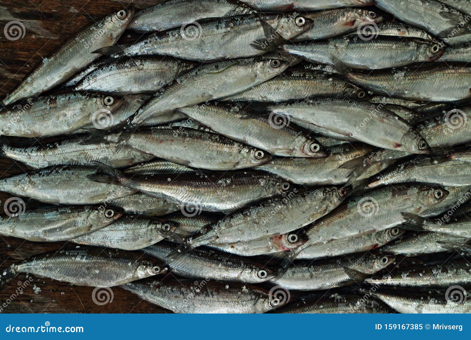 Vendace Fish at the Fish Market Stock Image - Image of outdoor, white ...
