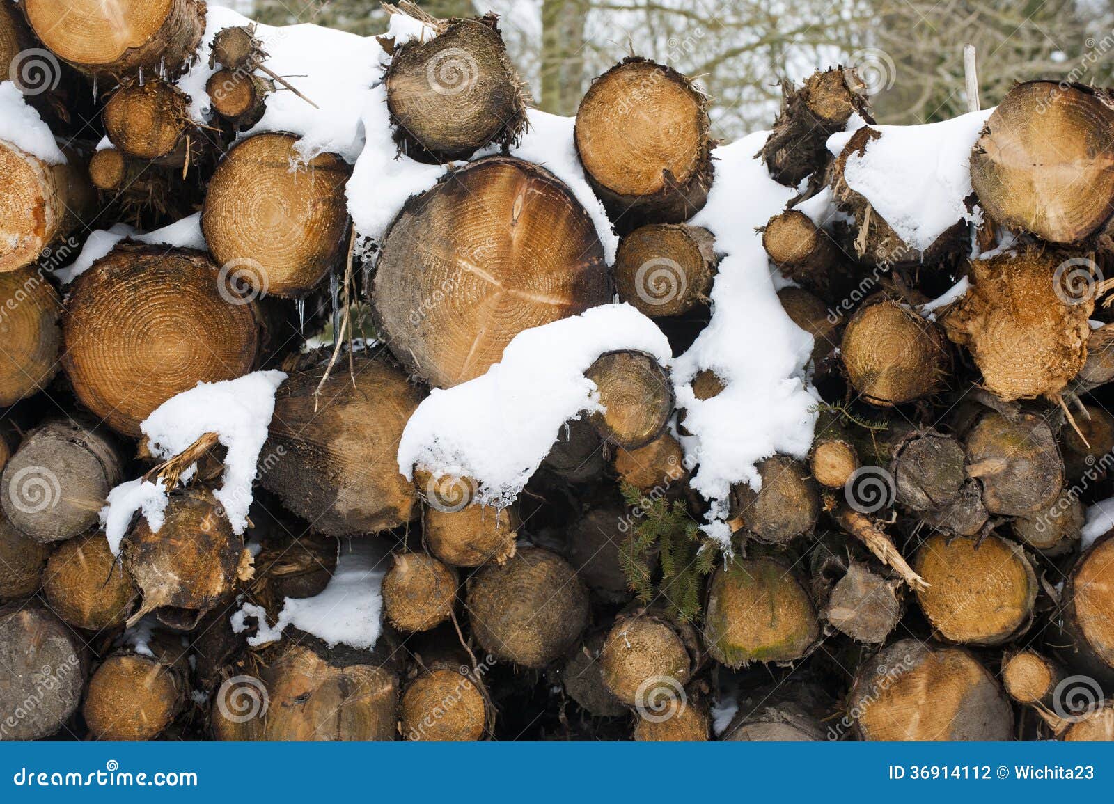 A Pile of Snow Covered Logs Stock Photo - Image of fuel, saving: 36914112