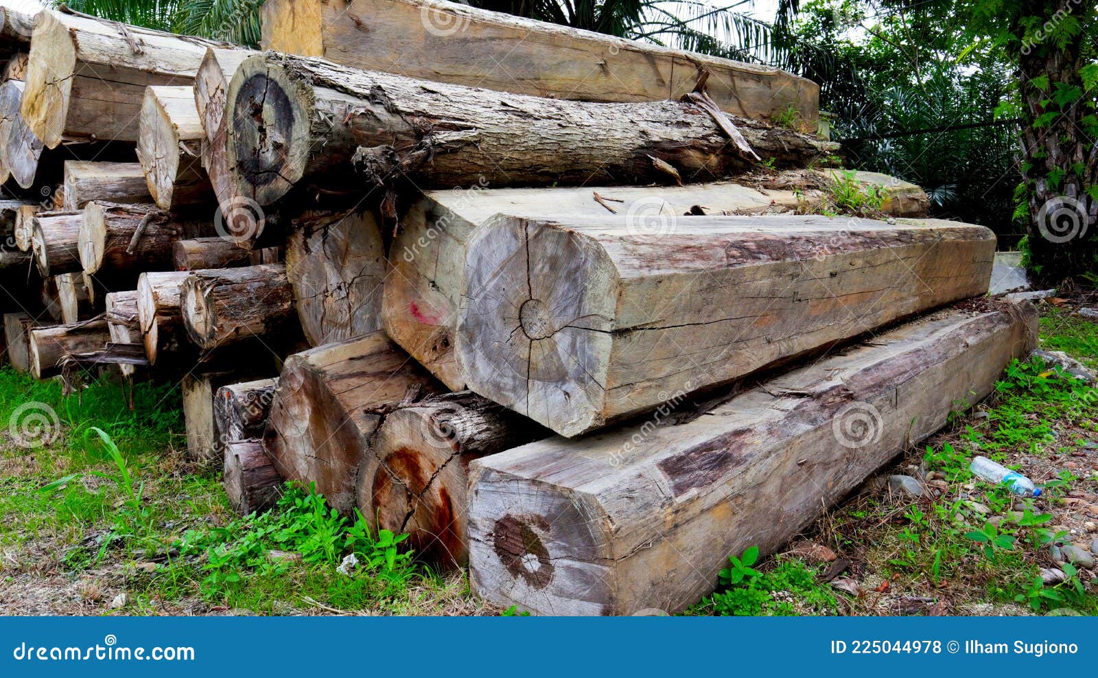 Pile of Square Logs Waiting for Processing Stock Photo - Image of ...