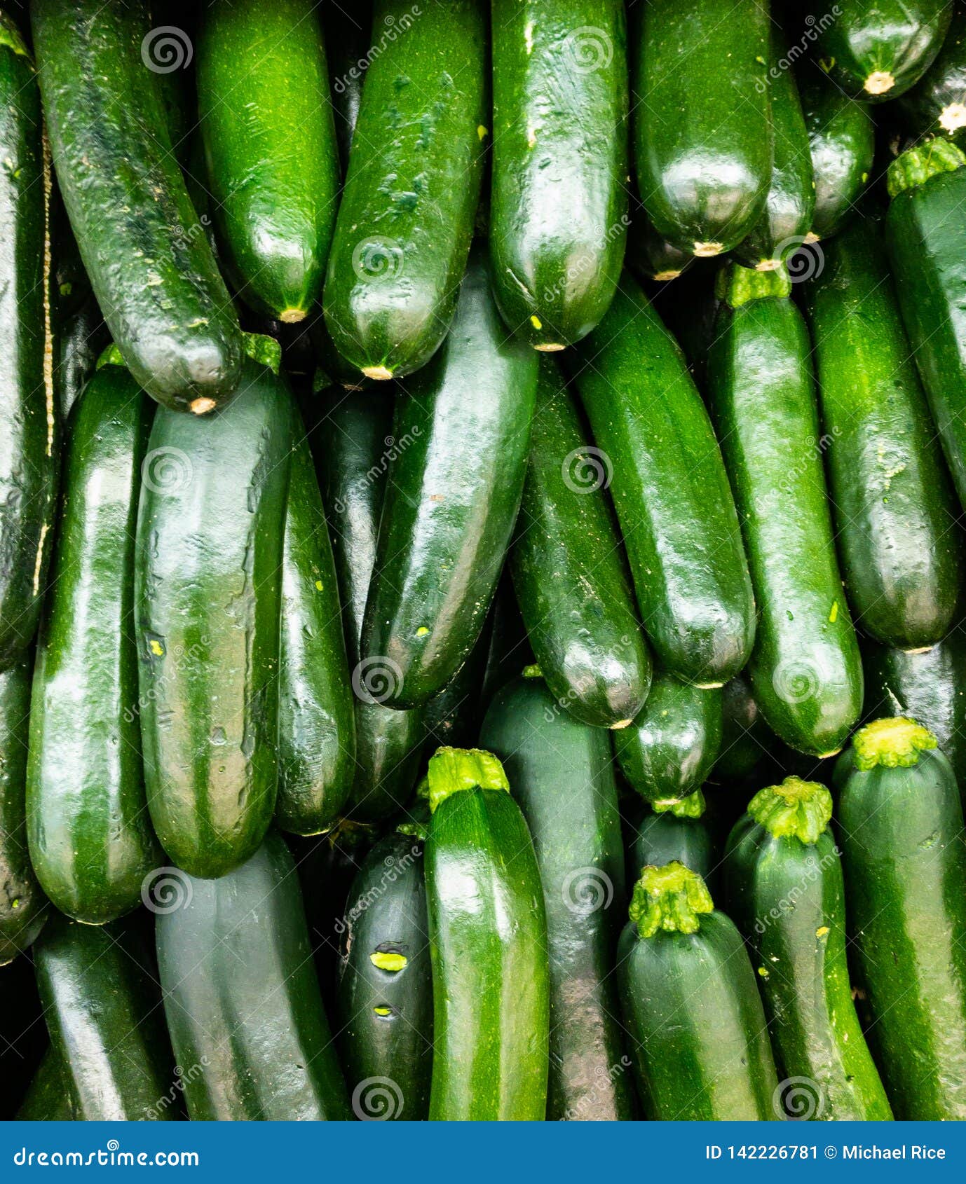 Pile of squashes stock image. Image of heap, green, organic - 142226781