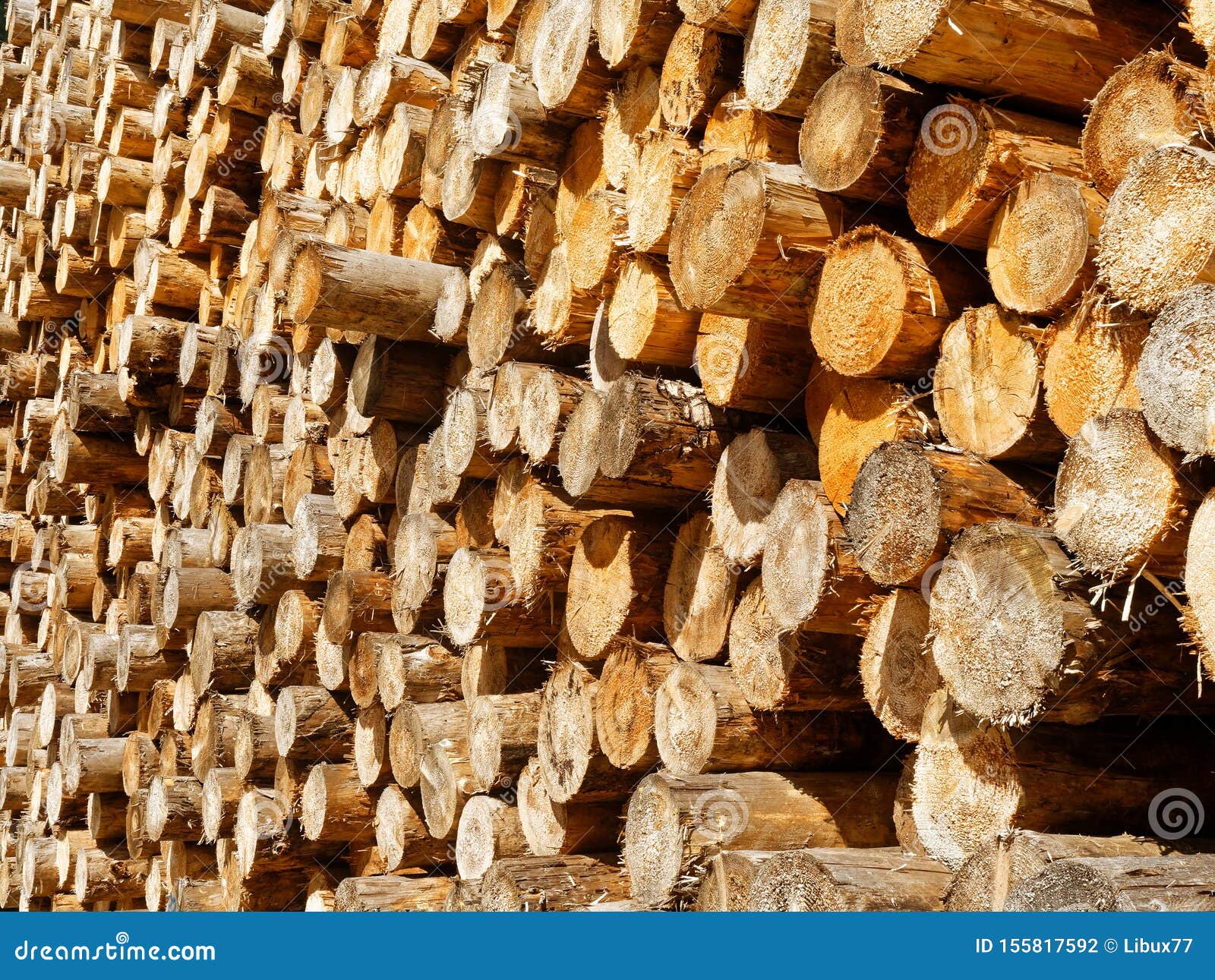 Pile or Stack of Wood Perspective View Background. Stock Photo - Image ...