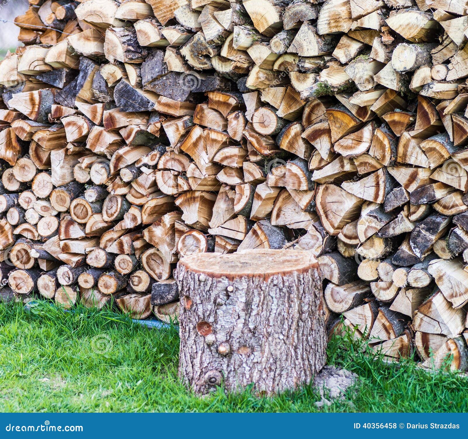 Pile of stacked cut logs stock photo. Image of sliced - 40356458