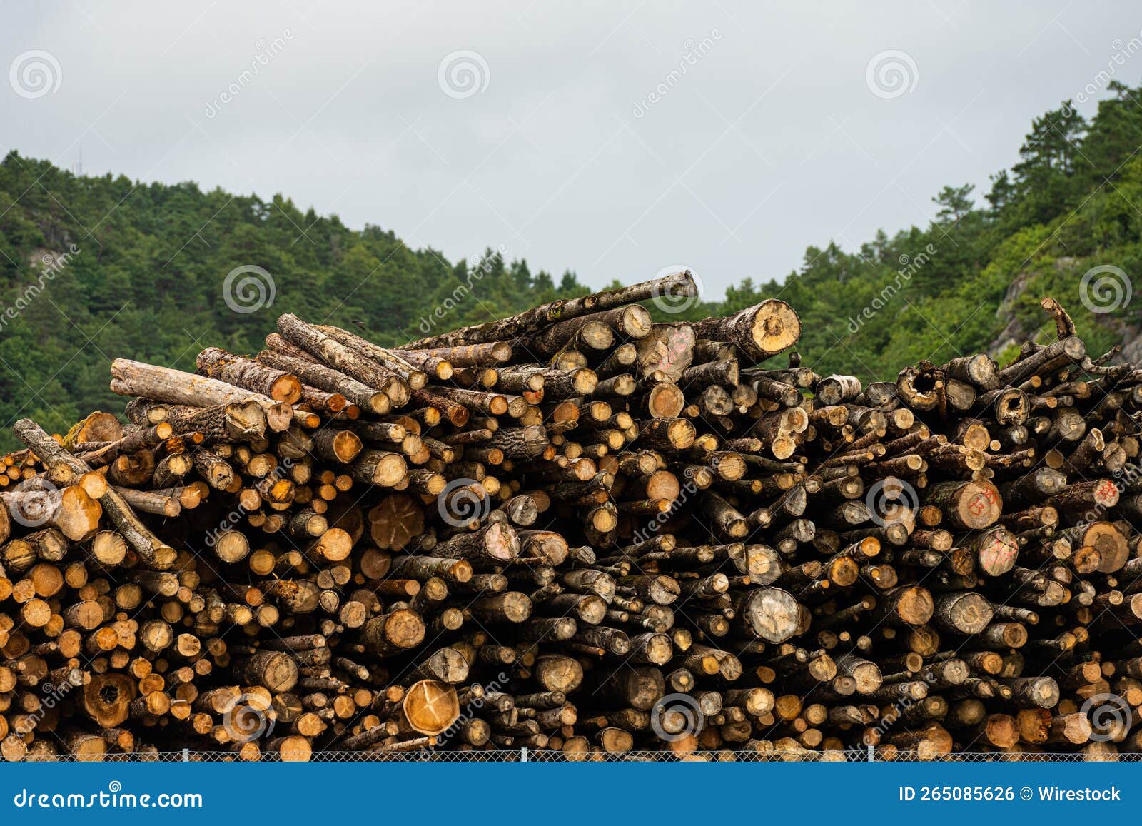 Pile of Stacked Tree Logs in Front of a Forest - the Concept of Climate ...