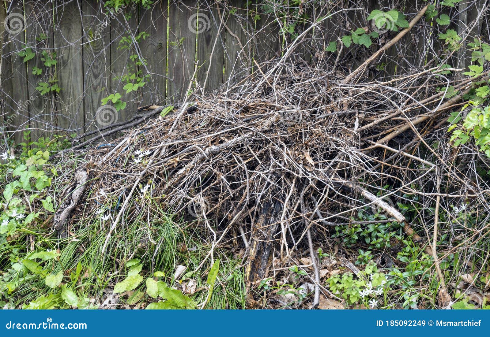 Pile of Sticks and Branches. Stock Image - Image of pile, fence: 185092249