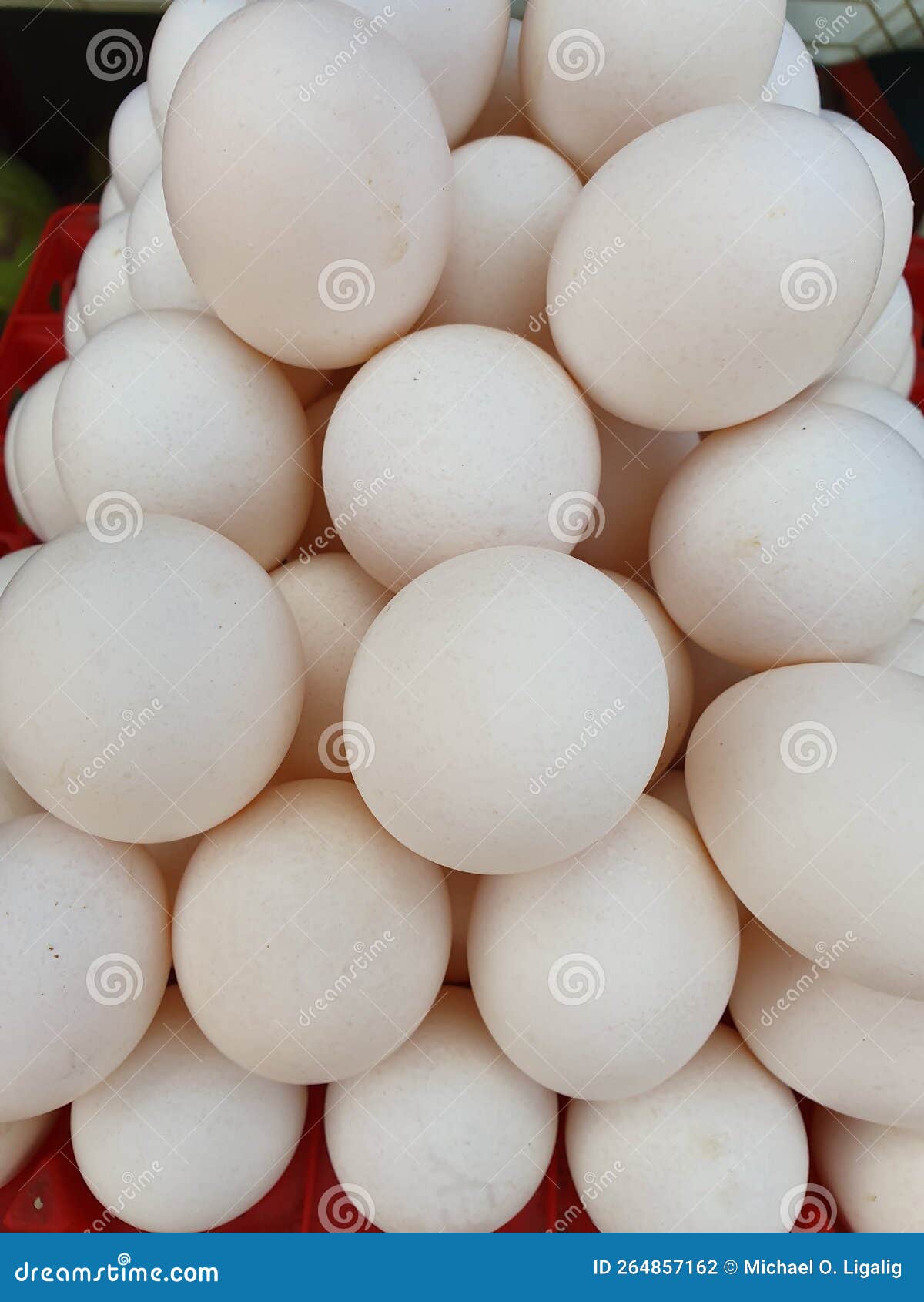 Pile Stock of White Shell Eggs Stock Photo - Image of eggs, white ...