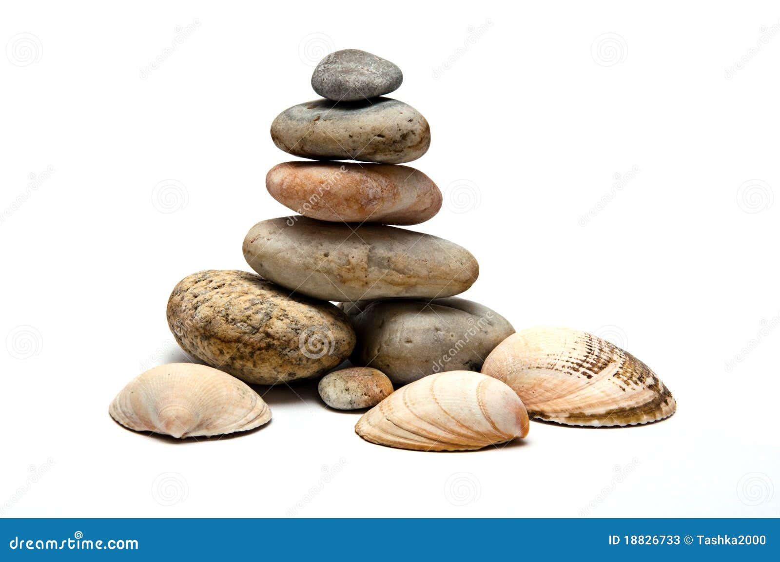 Pile of stones and shells stock image. Image of contemplation - 18826733