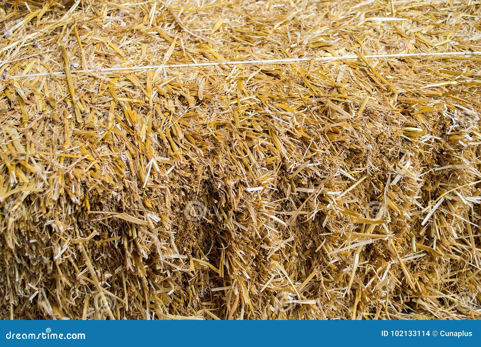 Pile of a straw stock photo. Image of feed, harvesting - 102133114