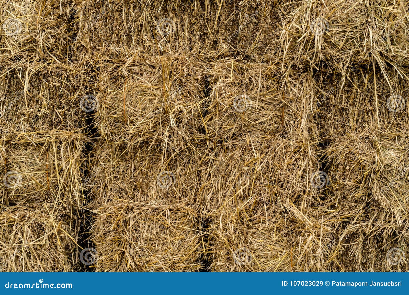 Pile of straw stock image. Image of field, straw, abstract - 107023029