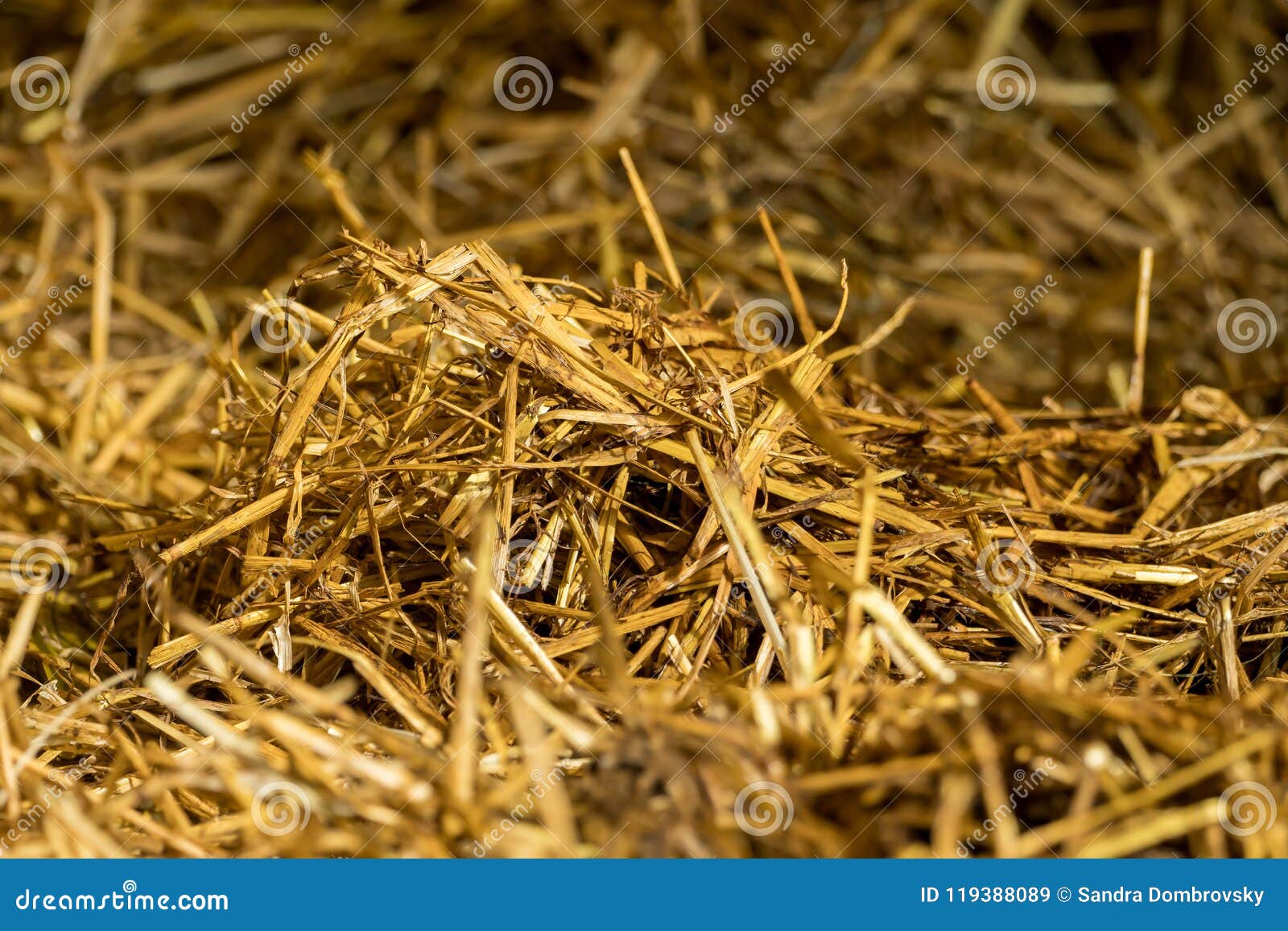 A Pile of Straw in the Stable Stock Image - Image of grain, autumn ...