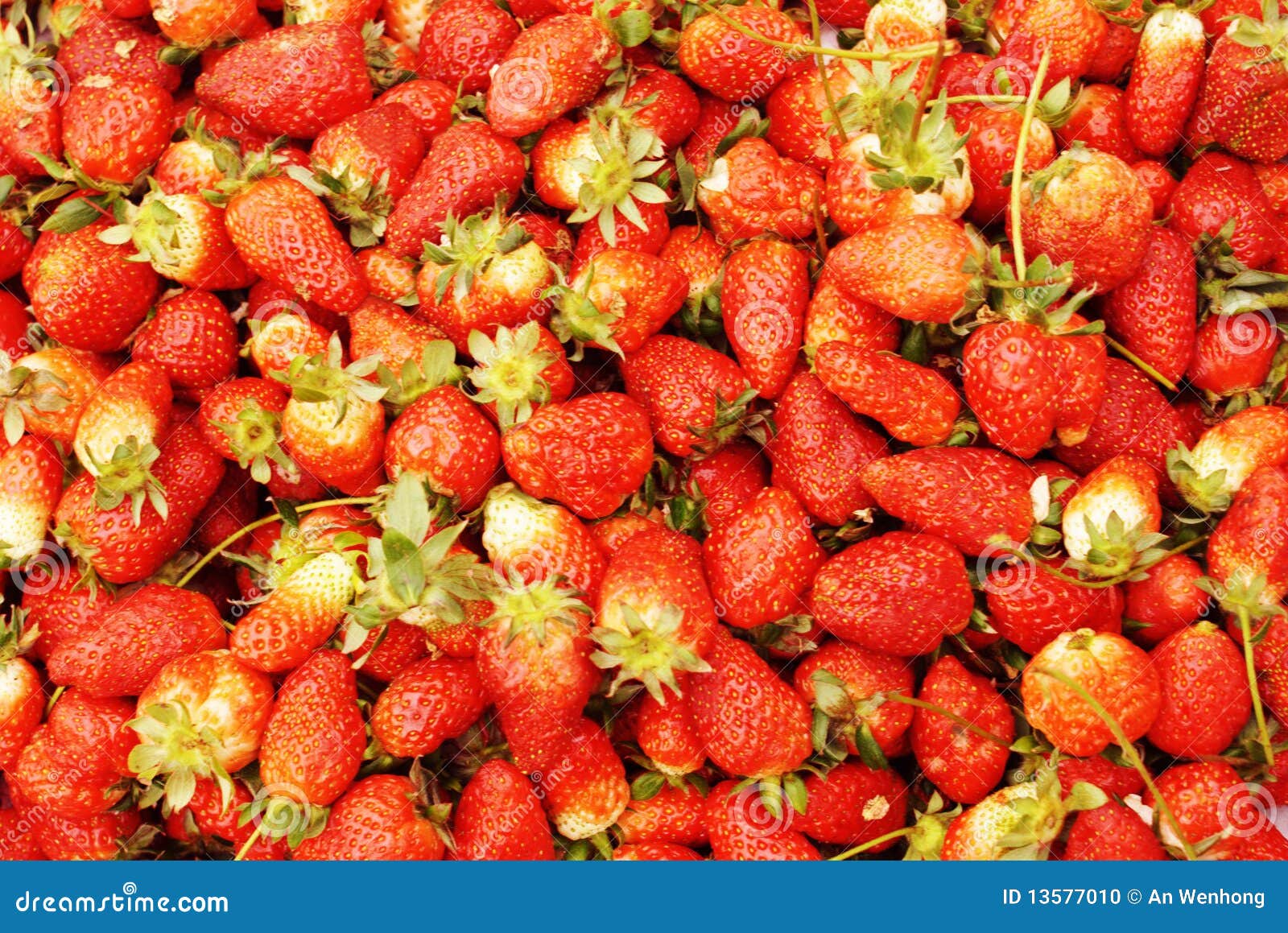 A pile of strawberries stock photo. Image of fruit, material - 13577010