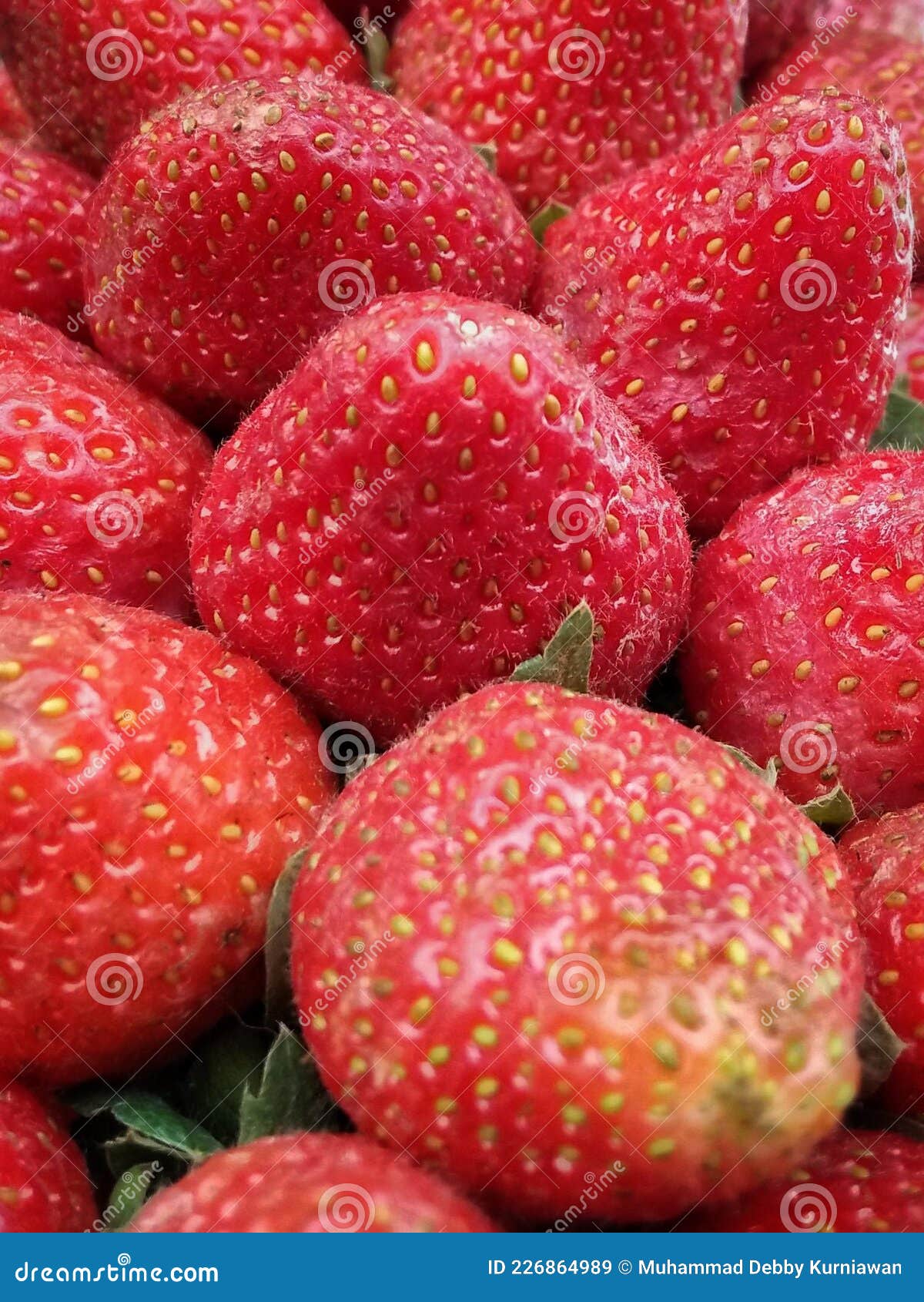 Pile of strawberries stock image. Image of berry, flower - 226864989