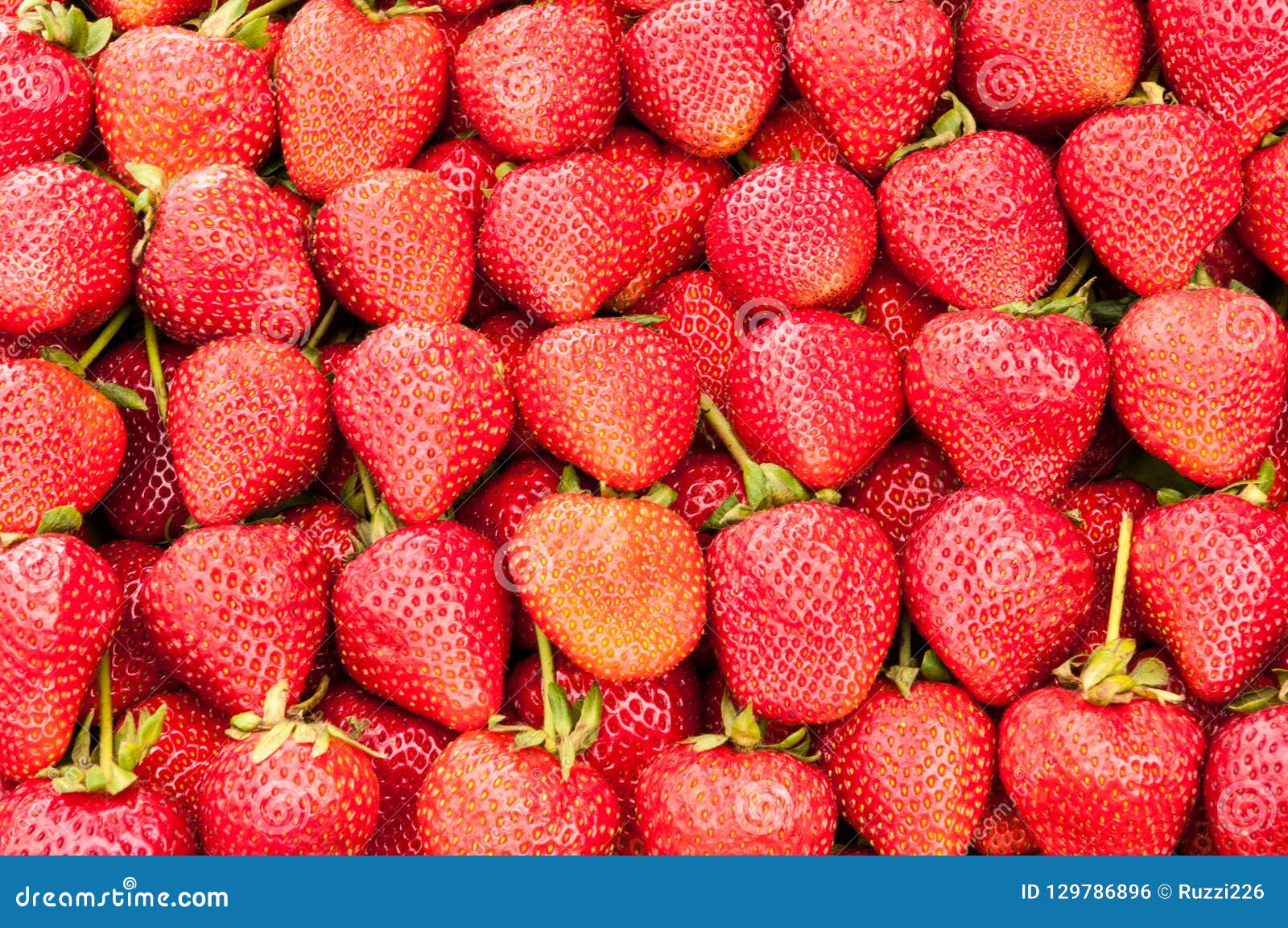 A Pile of Strawberries stock photo. Image of flavor - 129786896