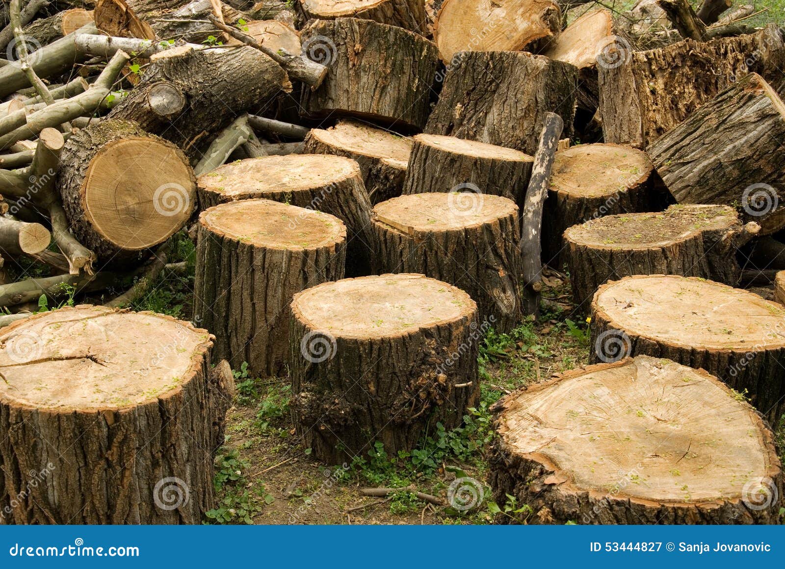 Pile of stumps stock image. Image of piled, stumps, block - 53444827