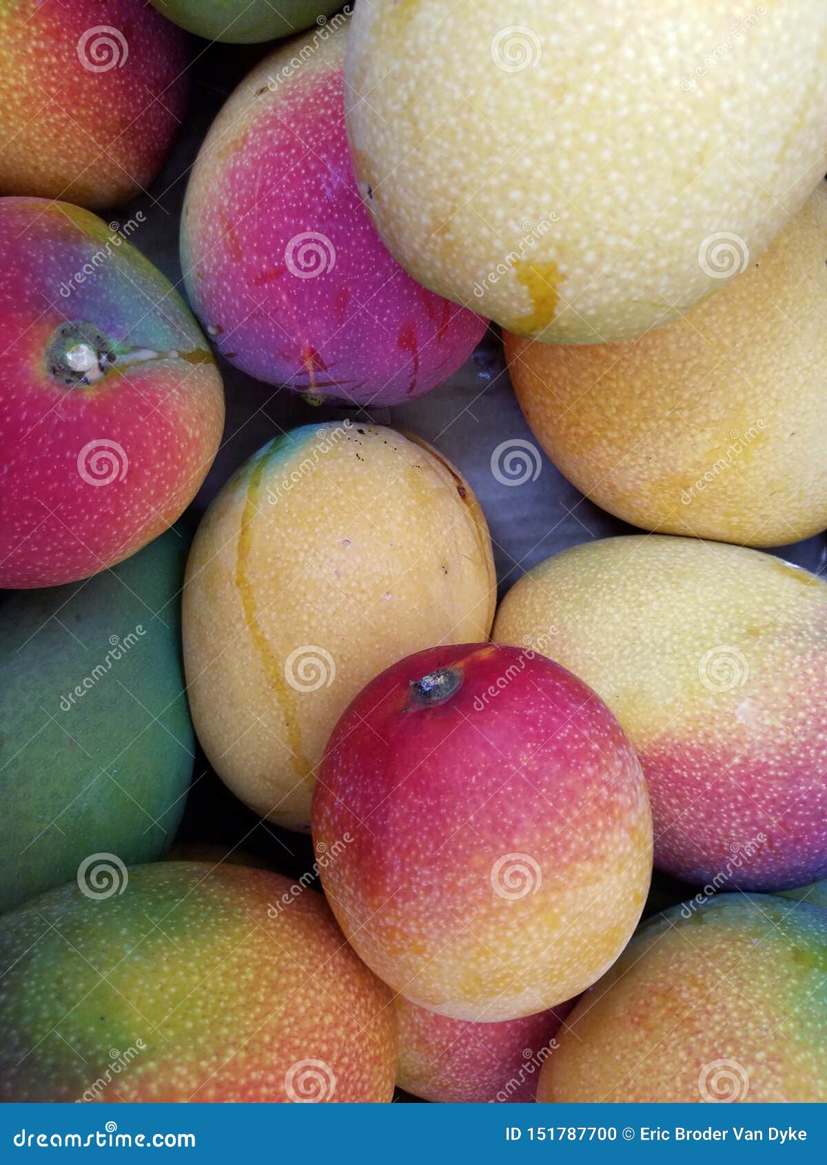 Pile of Sun-kissed Hayden Mango& X27;s in Box Stock Photo - Image of ...