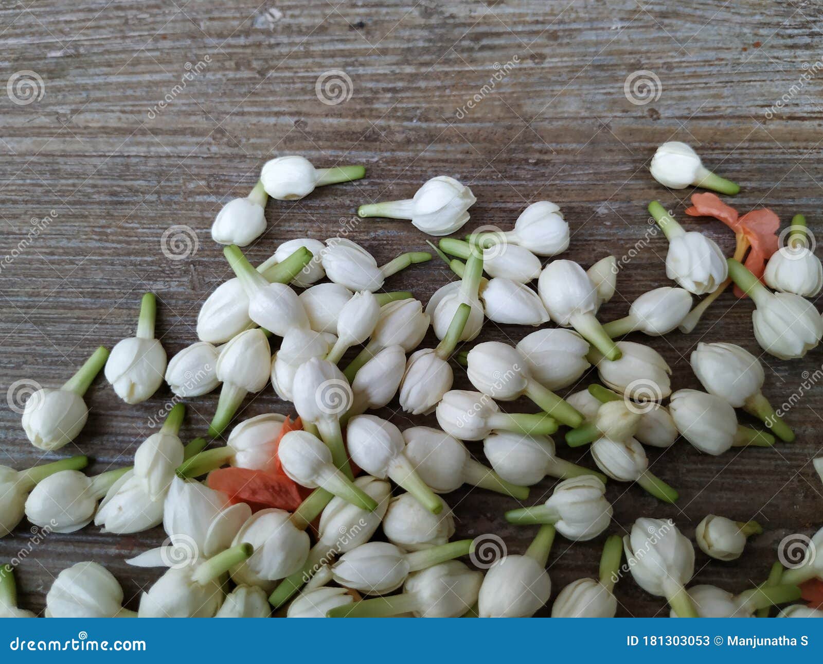 Pile and Texture of Jasmine with Fire Cracker Flower on the Floor Stock ...