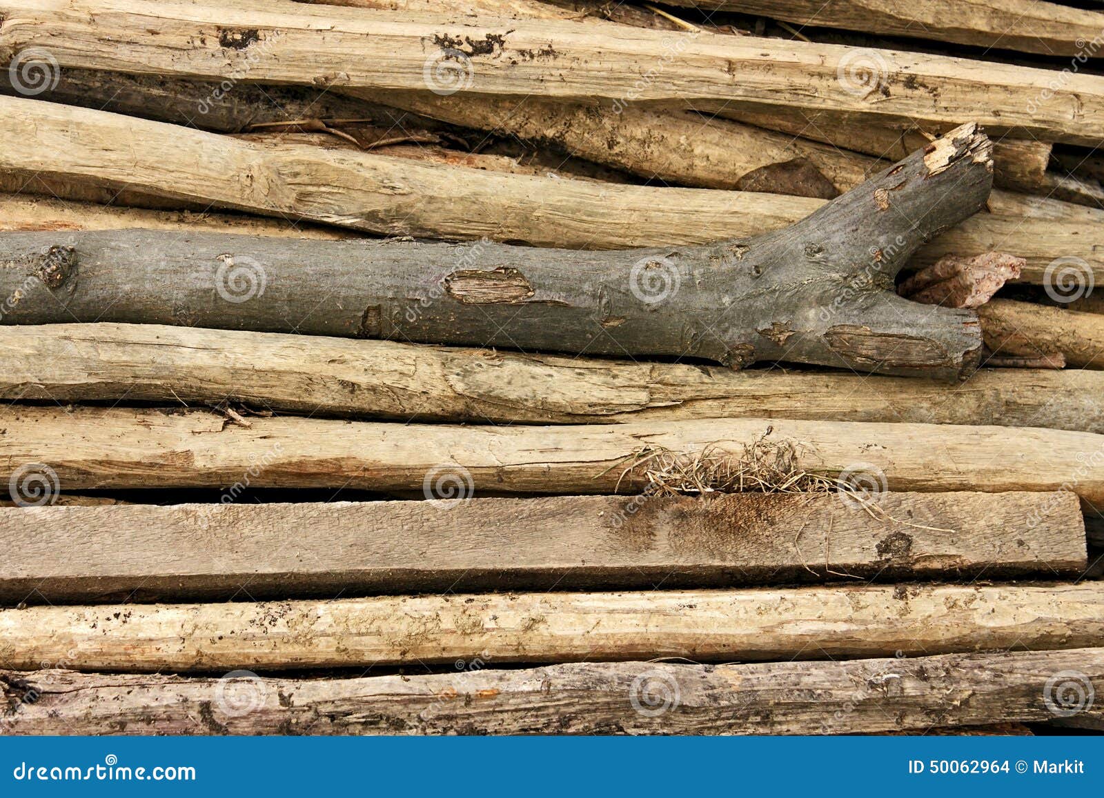 Pile of thin wooden sticks stock photo. Image of nature - 50062964