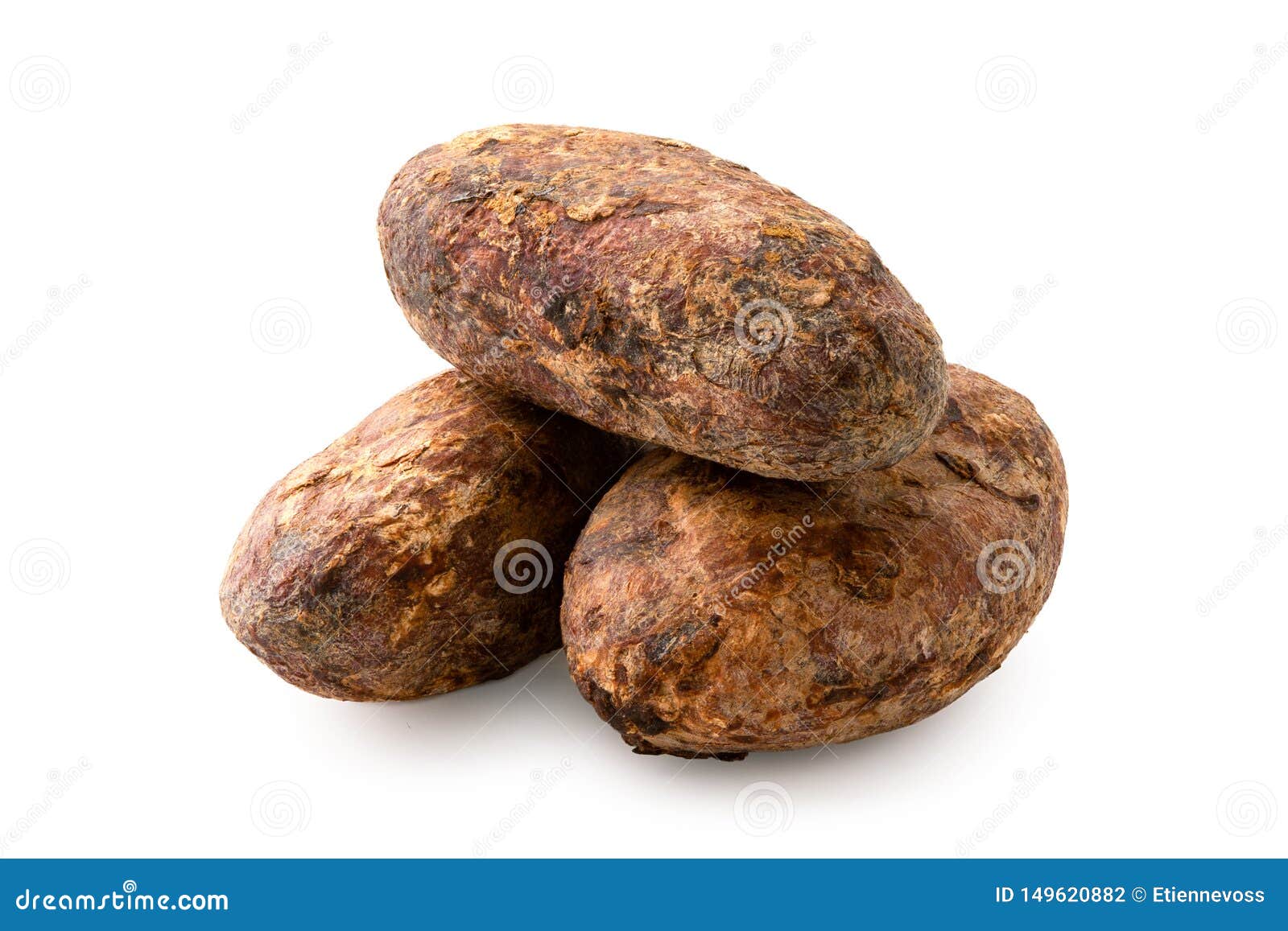 Pile of Three Roasted Unpeeled Cocoa Beans on White Stock Photo - Image ...
